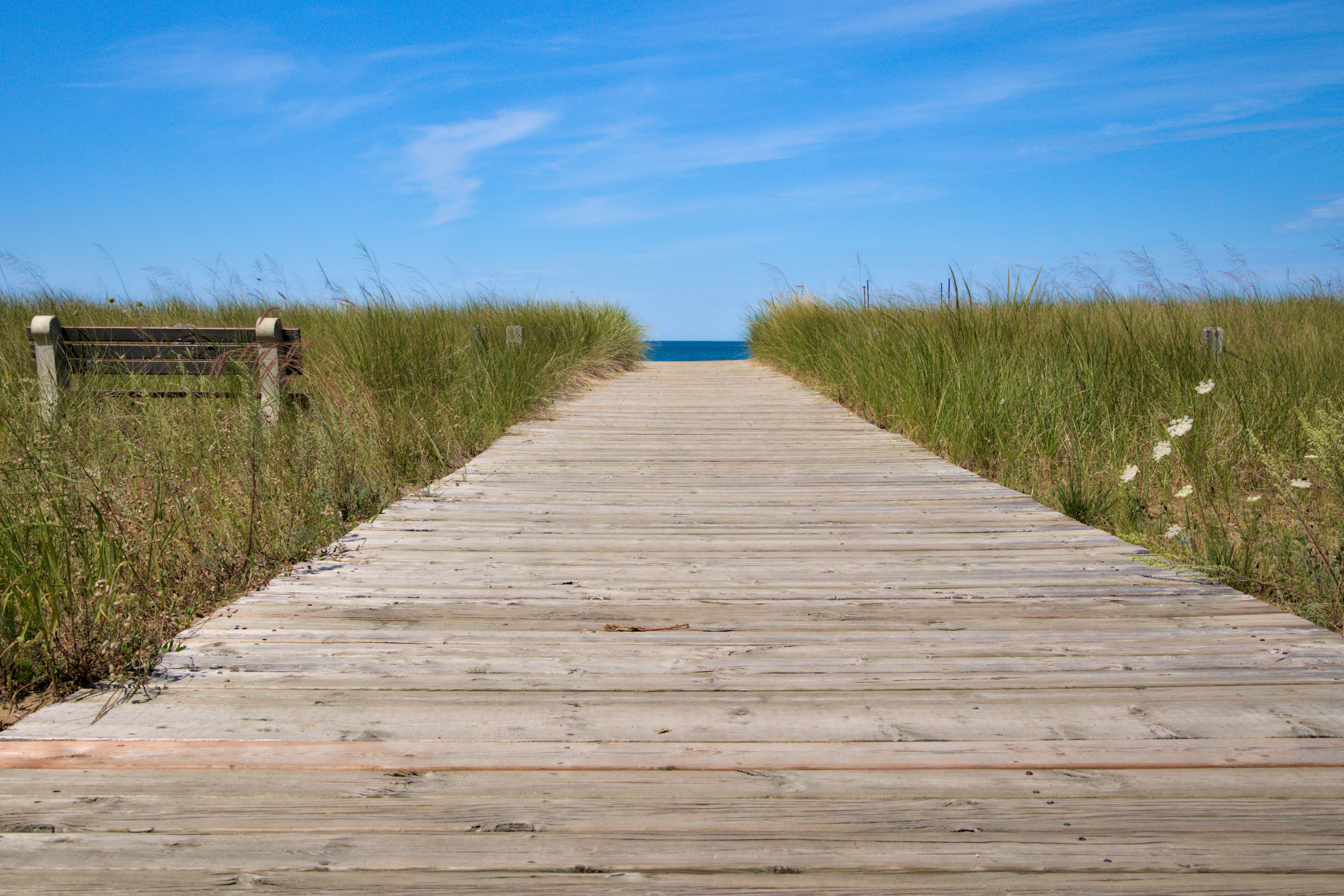 Boardwalk Leading to the Beach · Free Stock Photo