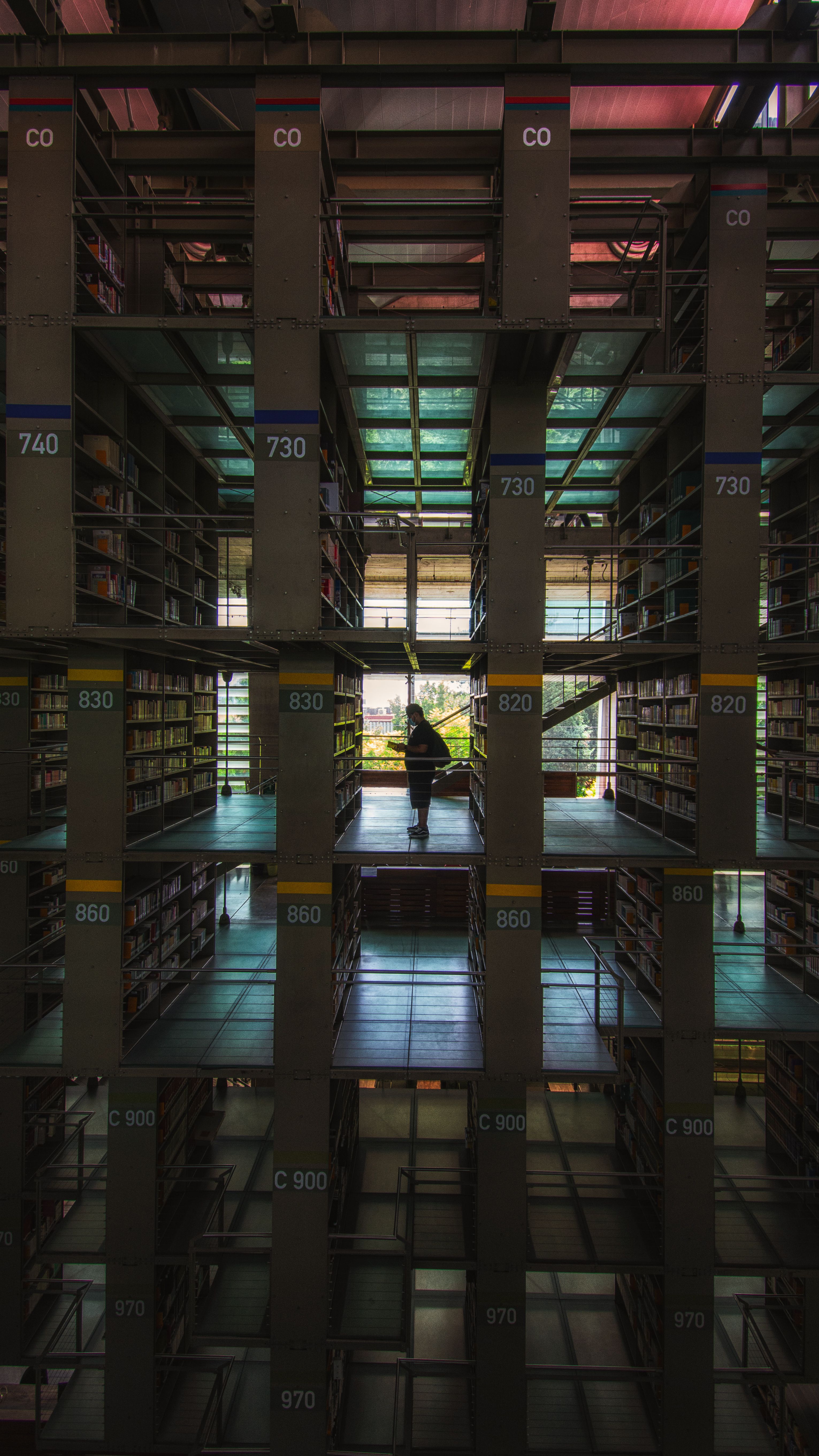Silhouette of Man in a Library · Free Stock Photo