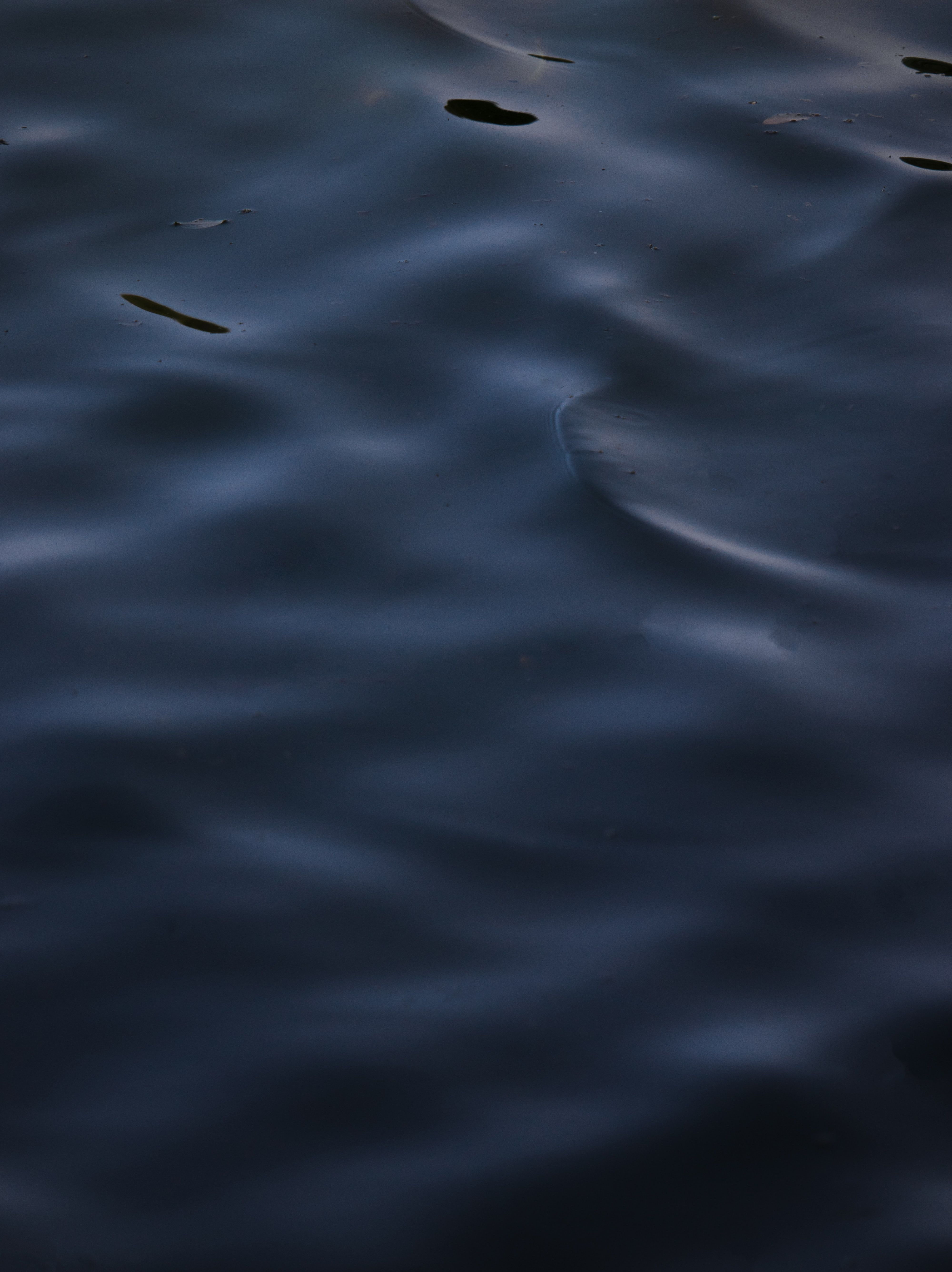 Close up of Dark Water Surface · Free Stock Photo
