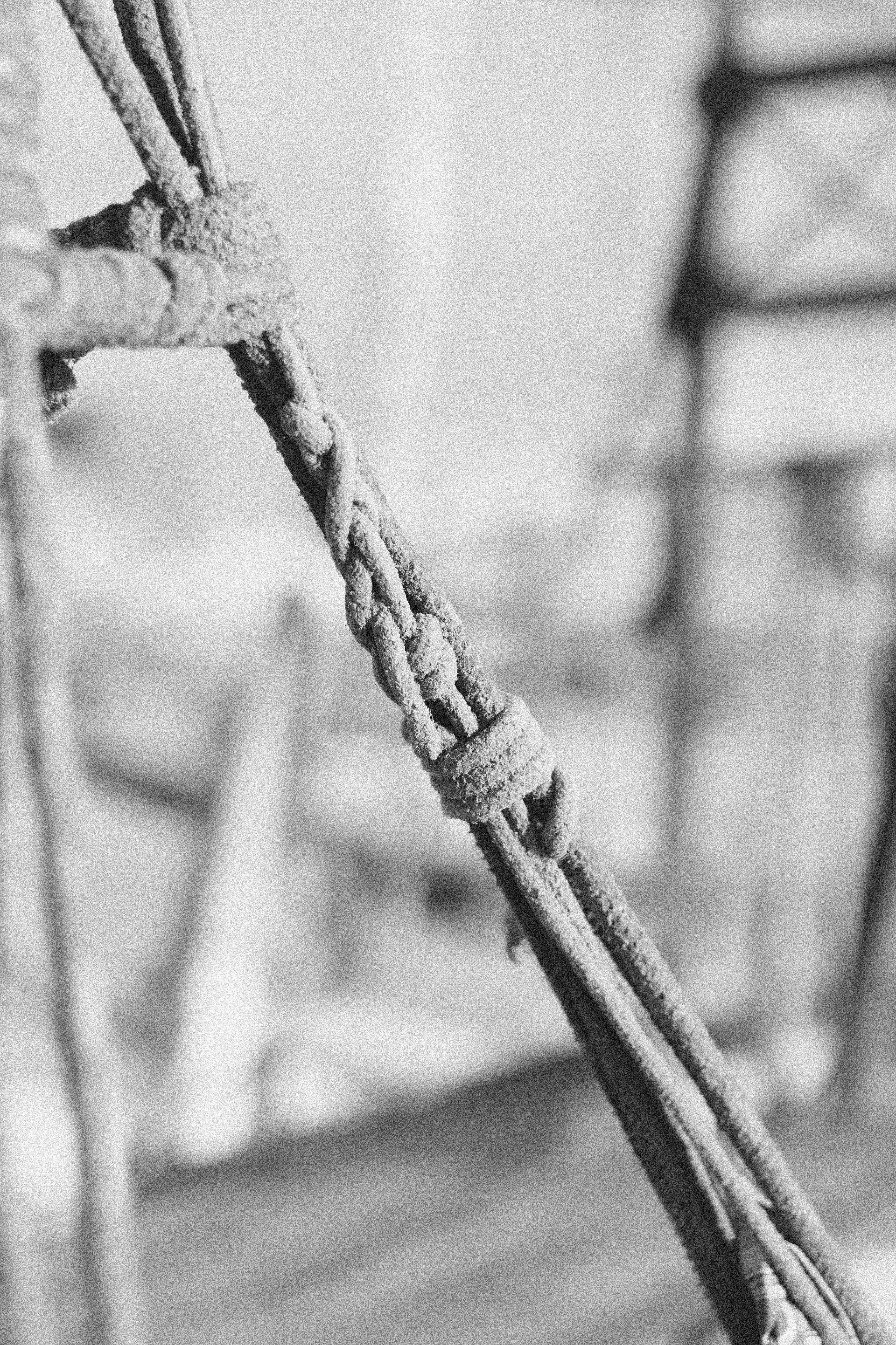 Grayscale Photography of a Rope · Free Stock Photo