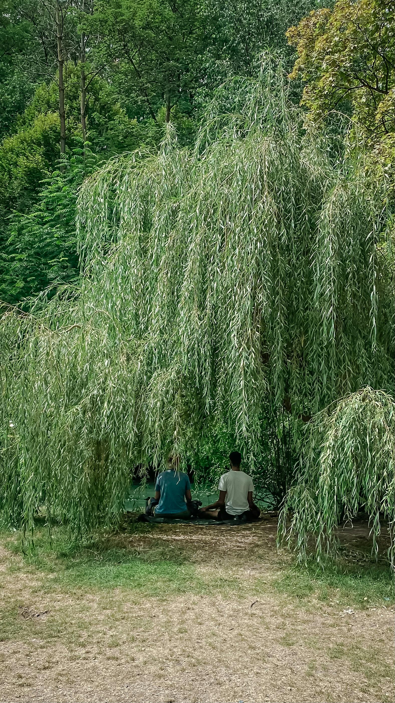 Relaxing Things Photos, Download Free Relaxing Things Stock Photos & HD ...