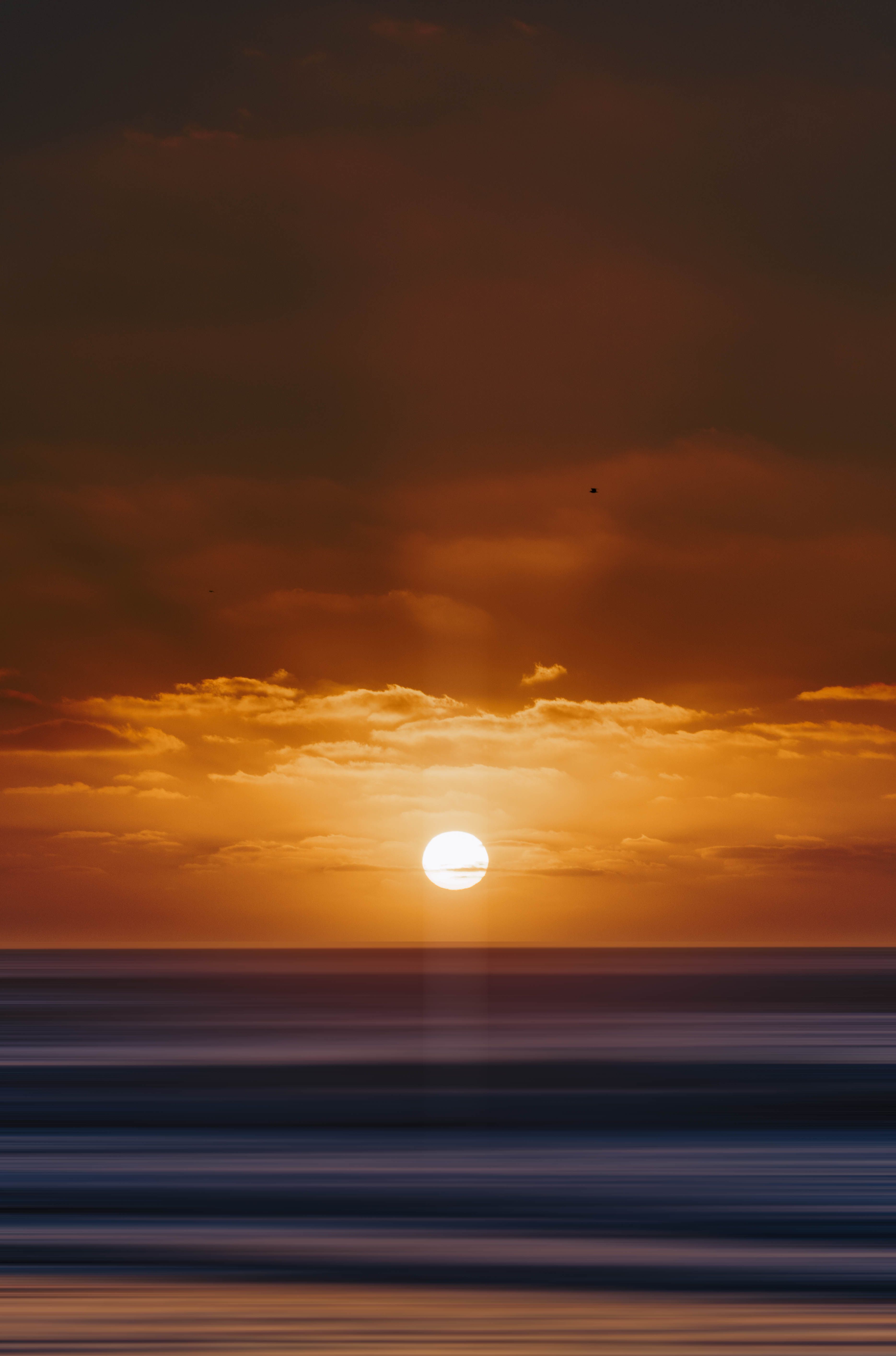Birds Flying under Clouds at Sunset · Free Stock Photo