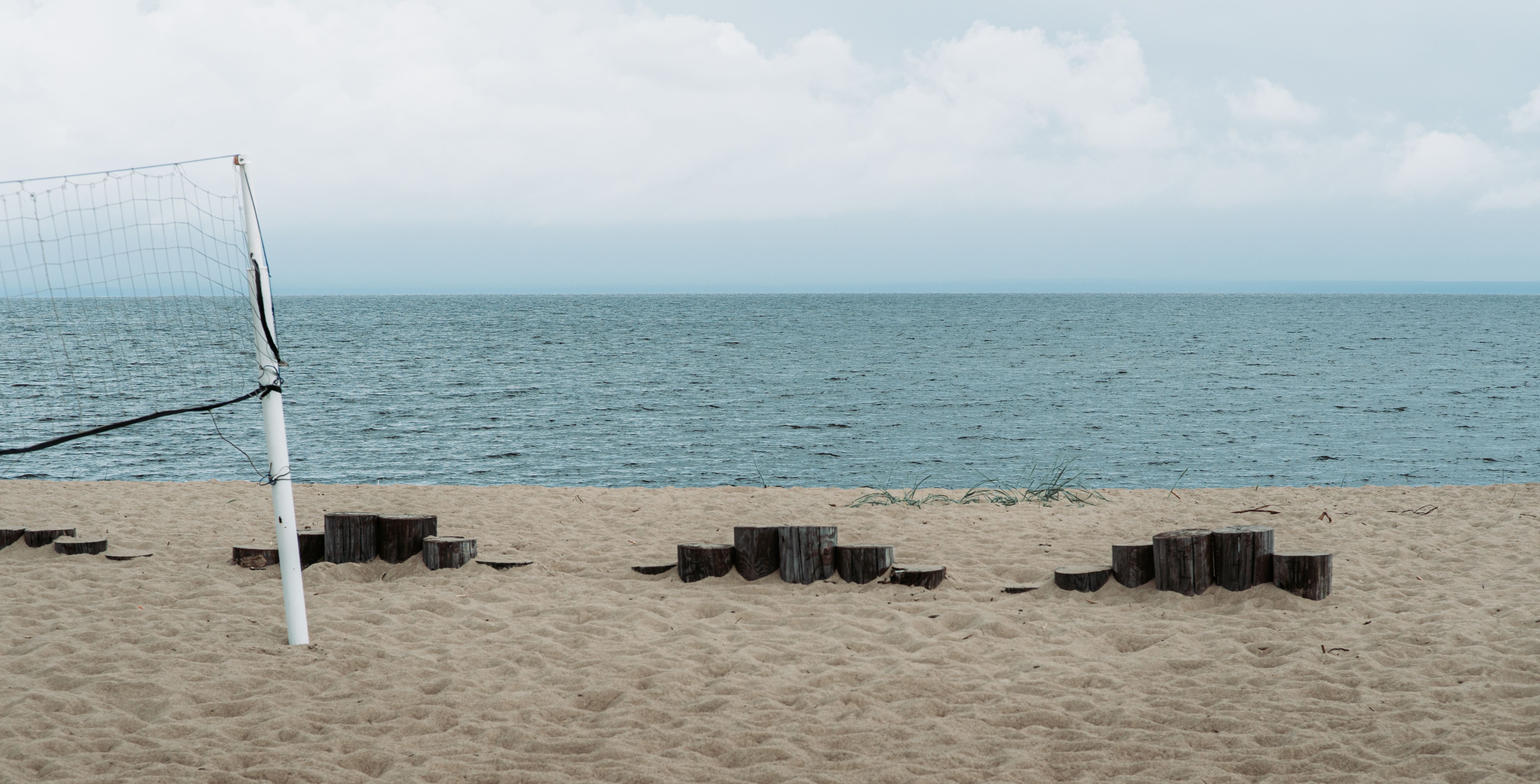 Wooden Logs on a Beach · Free Stock Photo