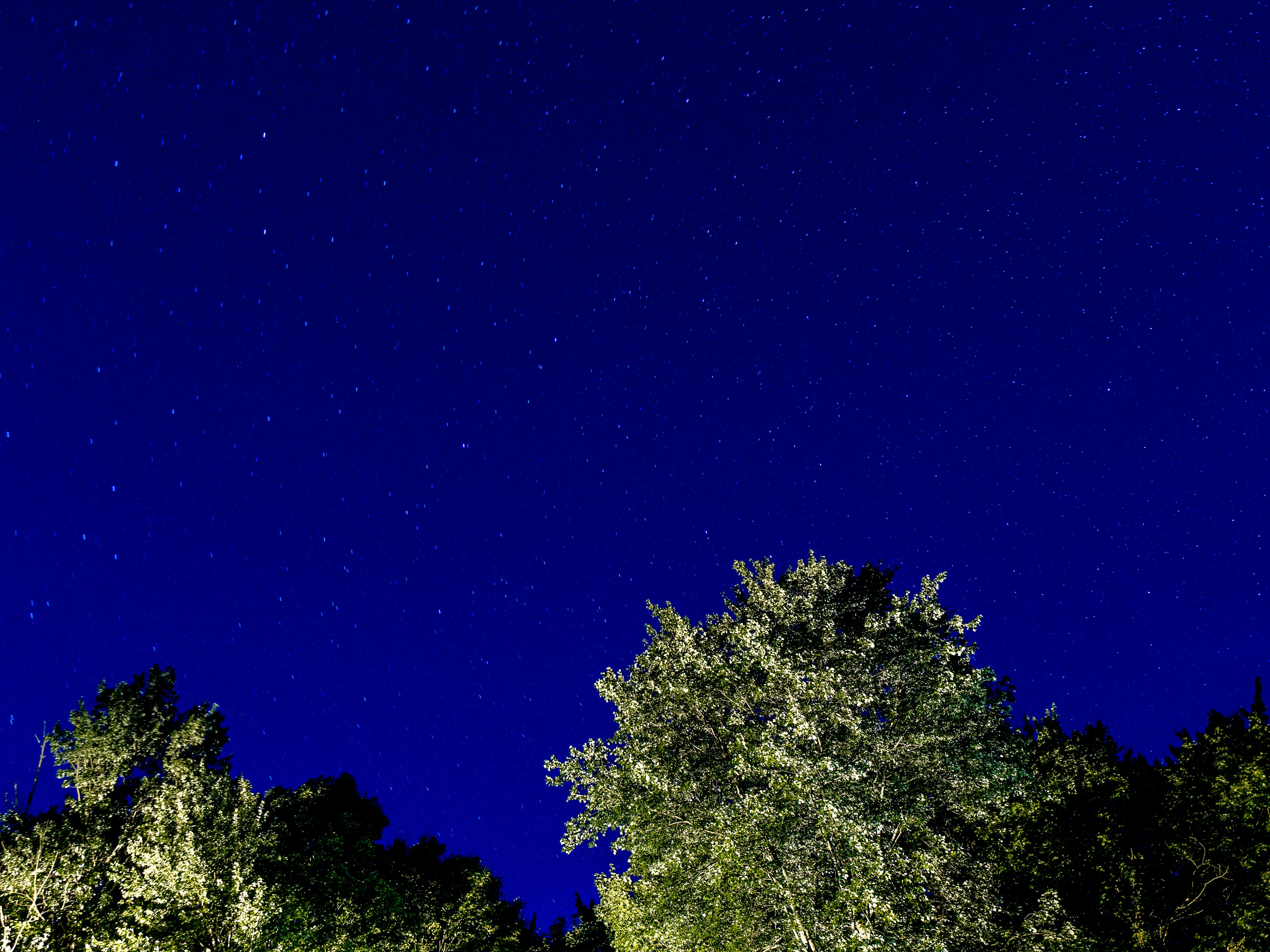 Low-Angle Shot of Waterfall on Mountain under the Starry Night Sky ...