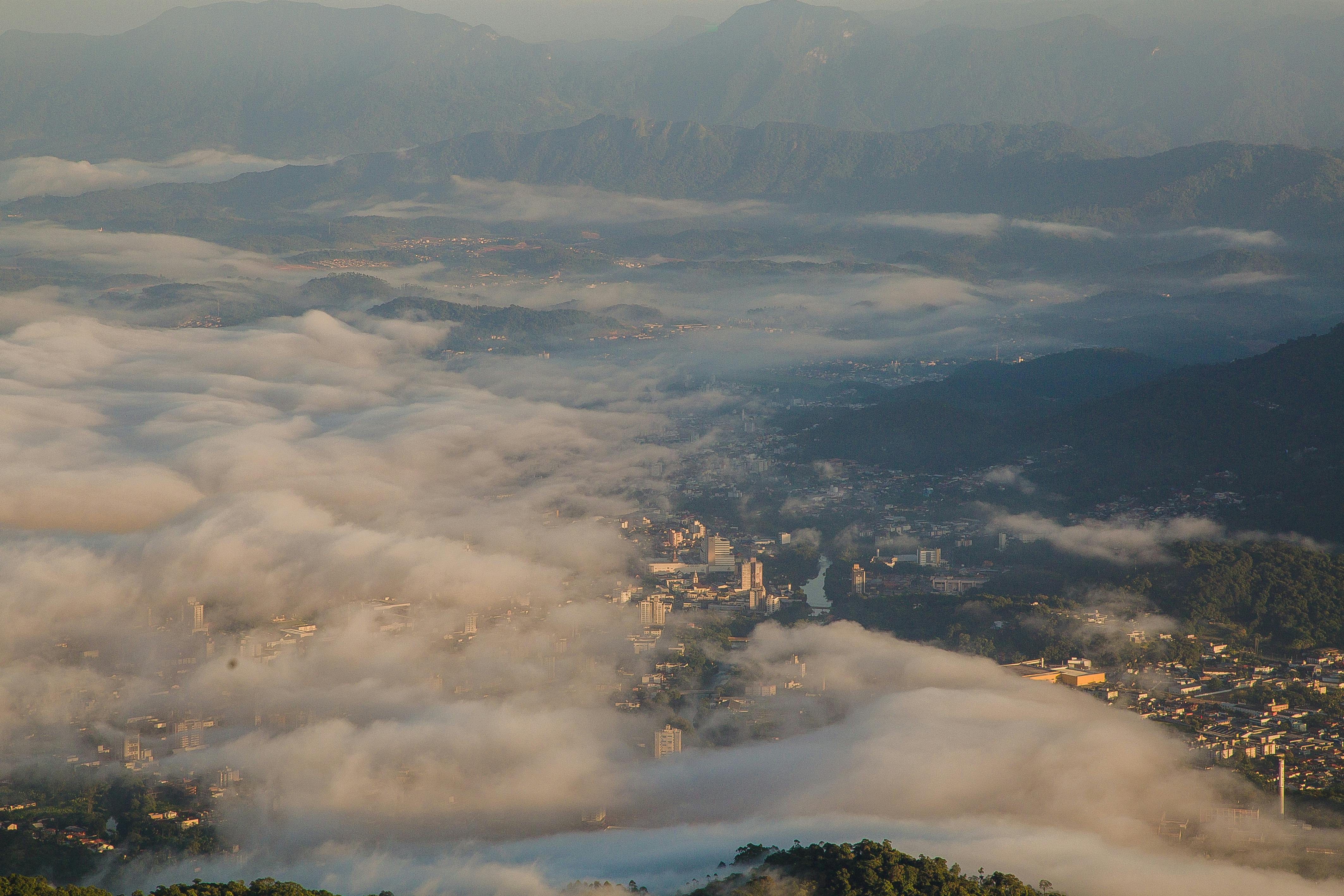 Clouds above Trees · Free Stock Photo