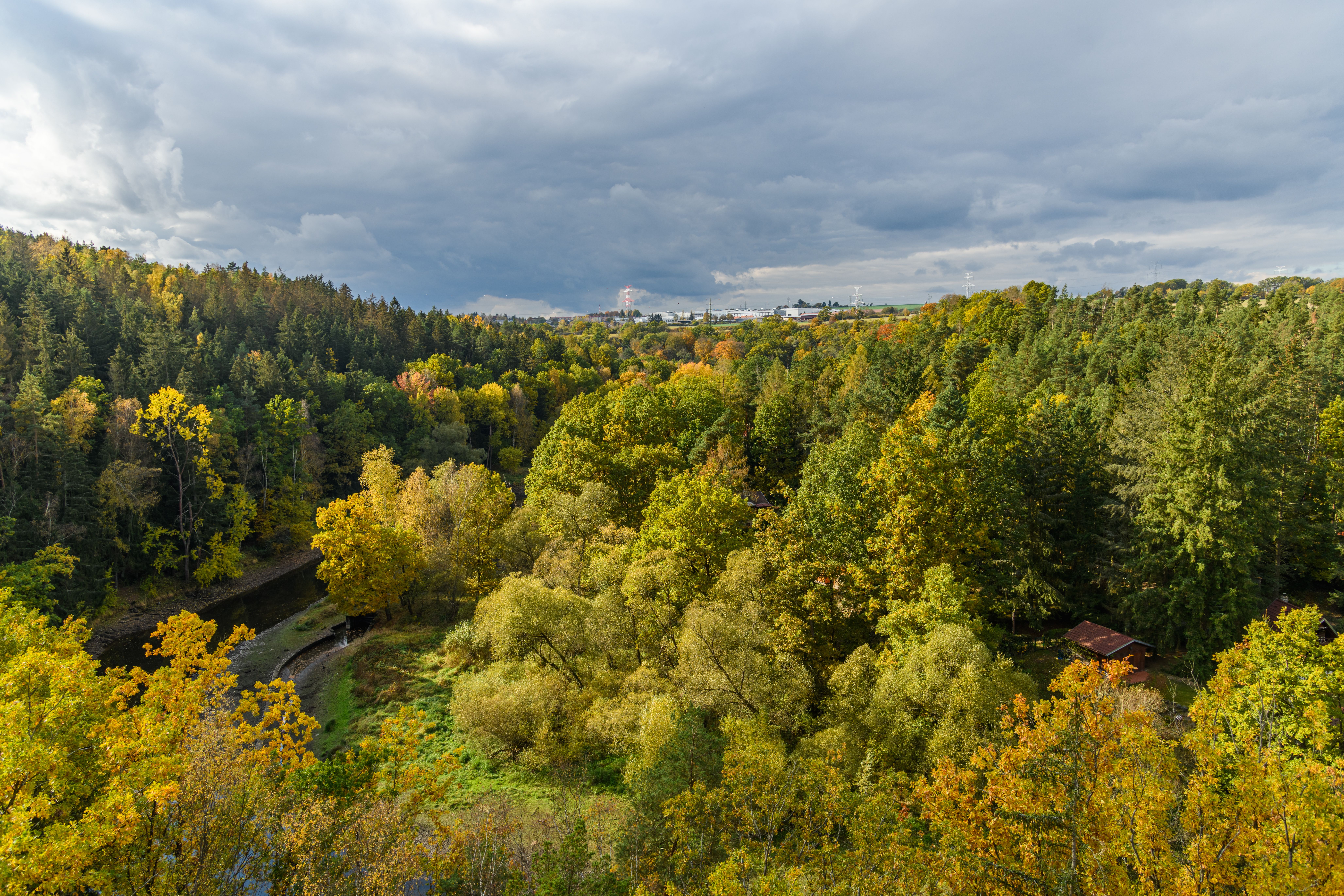 Green Trees Under Cloudy Sky · Free Stock Photo