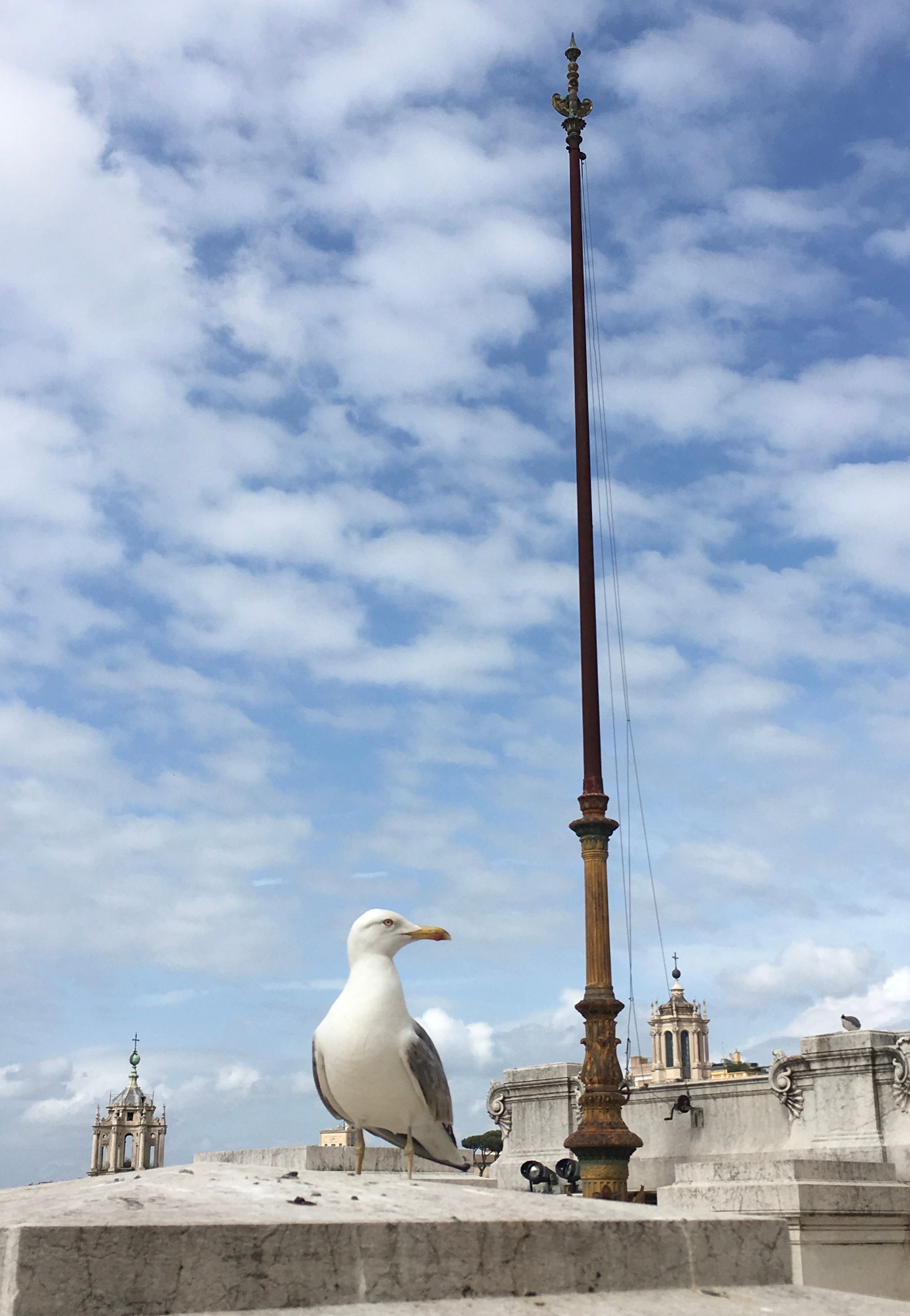 Ten Foot Pole Photos, Download Free Ten Foot Pole Stock Photos & HD Images