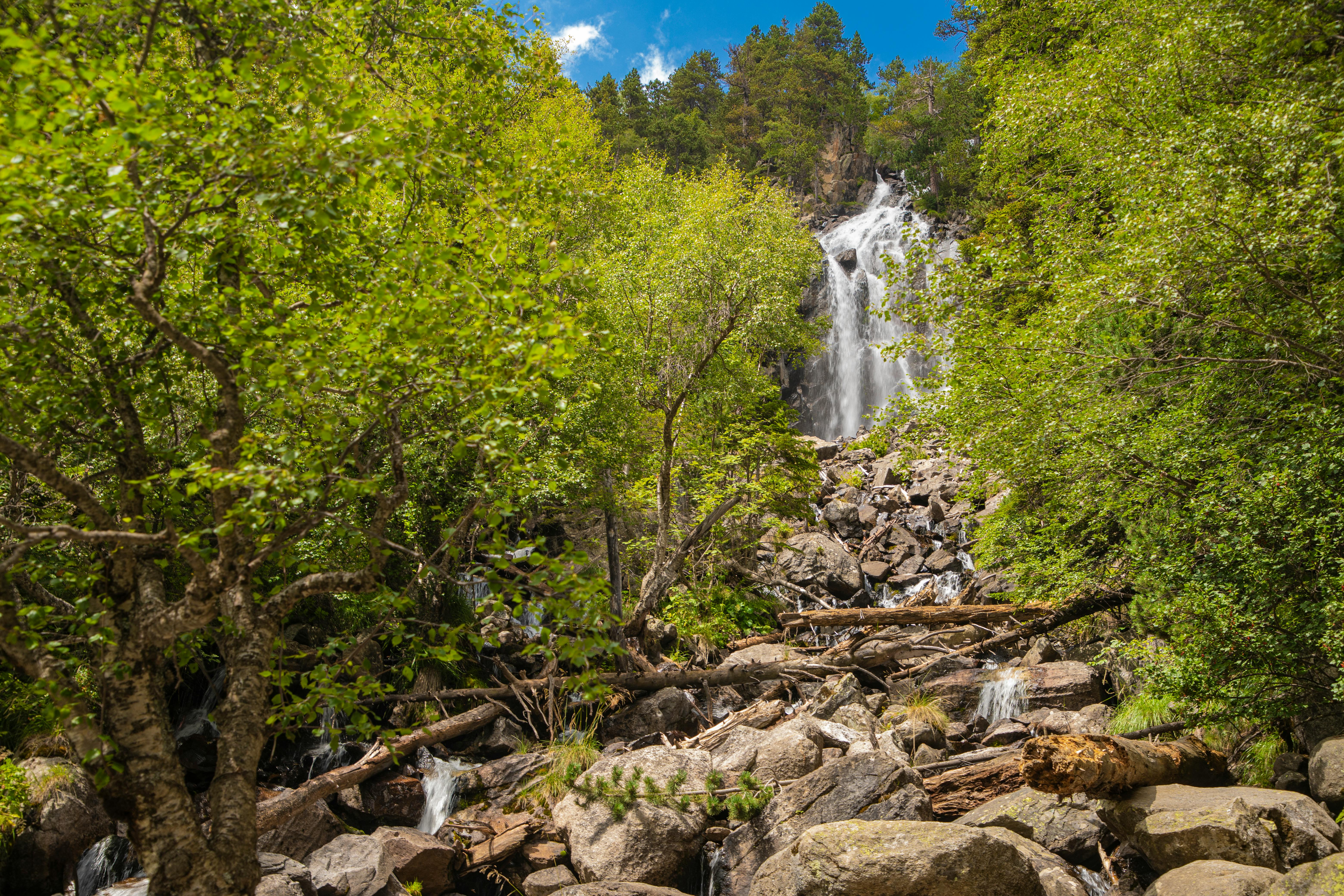 A Waterfall in the Mountain Forest · Free Stock Photo