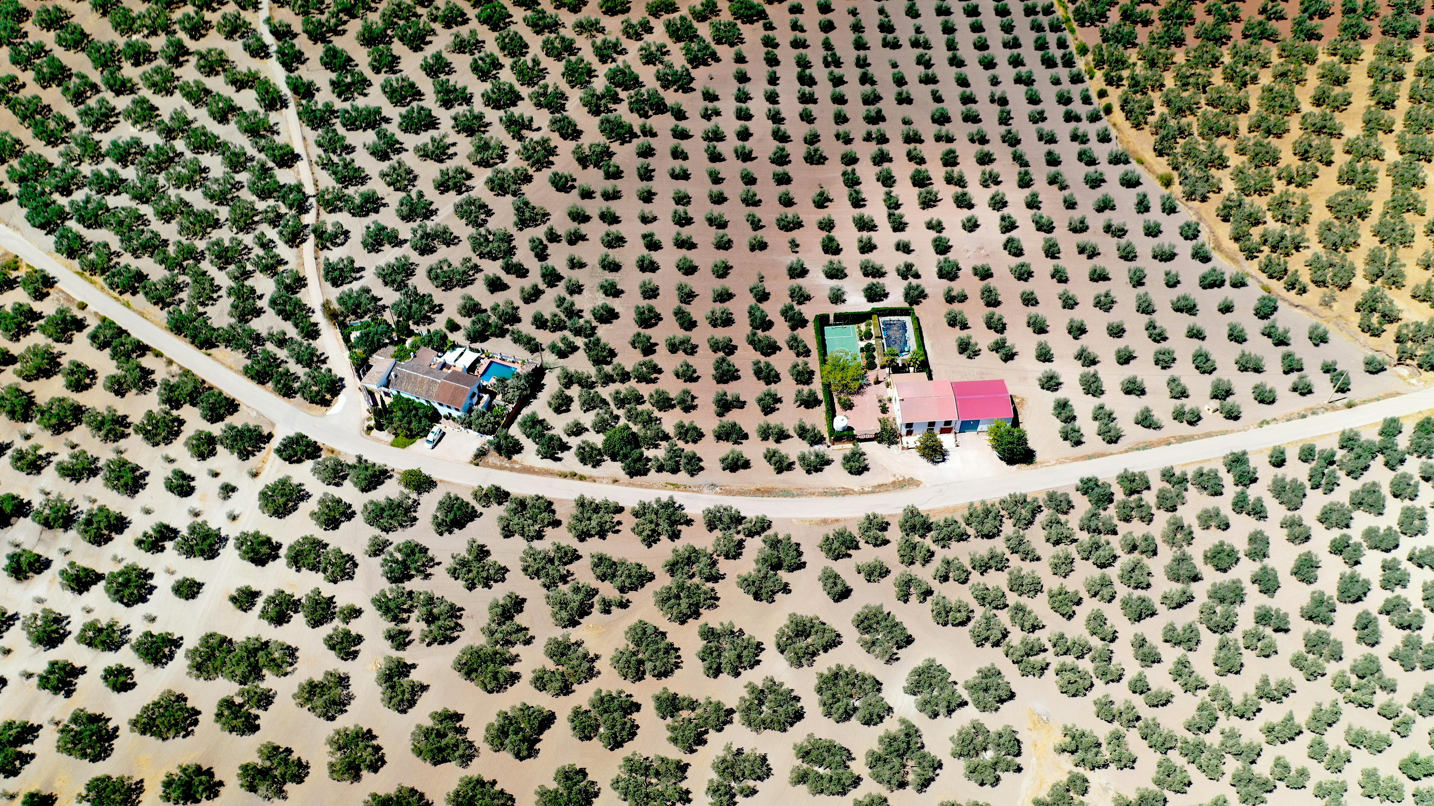 Developed Plots And Roads Photos, Download The BEST Free Developed ...