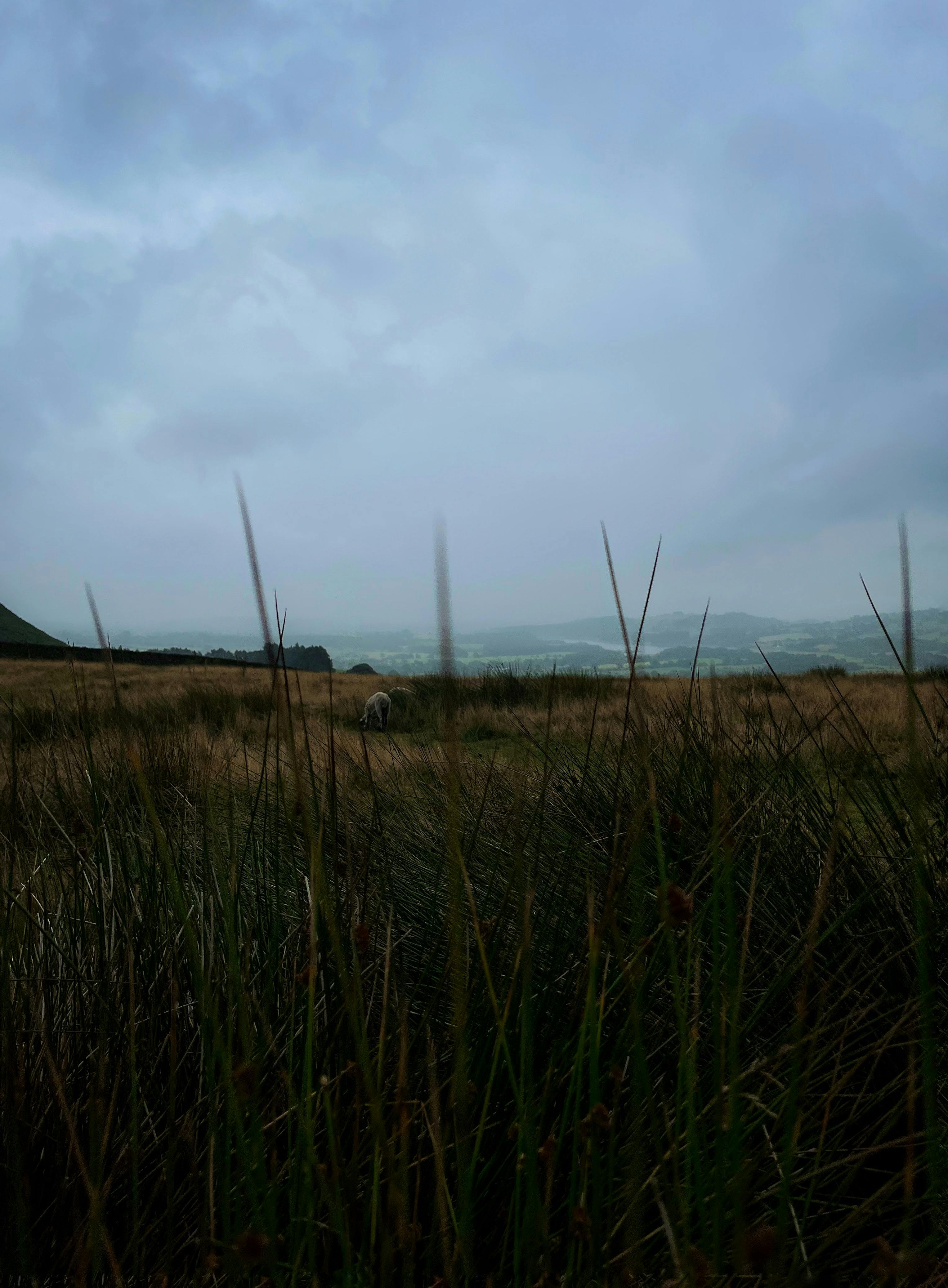 Reuben K Sam - Photography