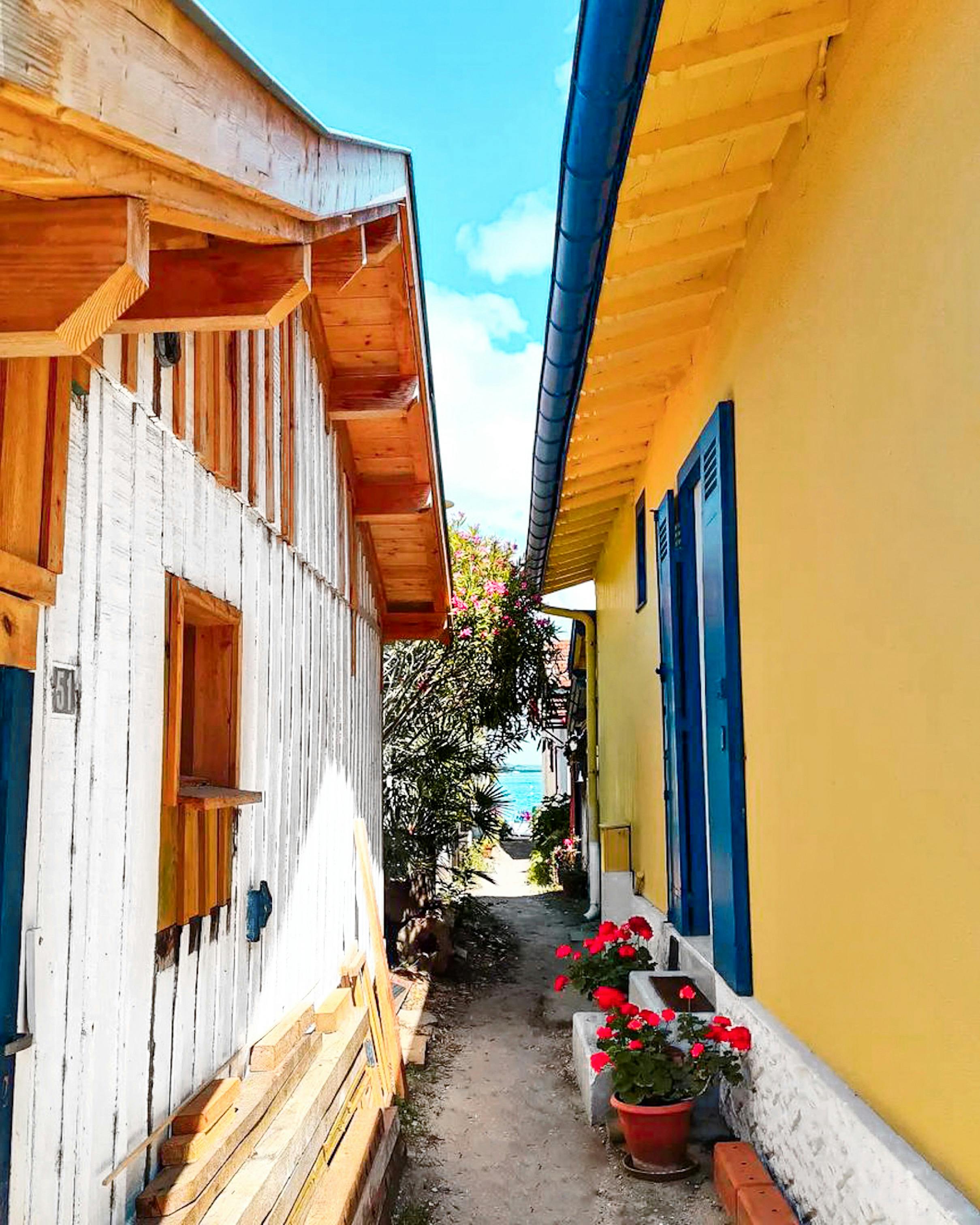 A Narrow Walkway Between Houses · Free Stock Photo