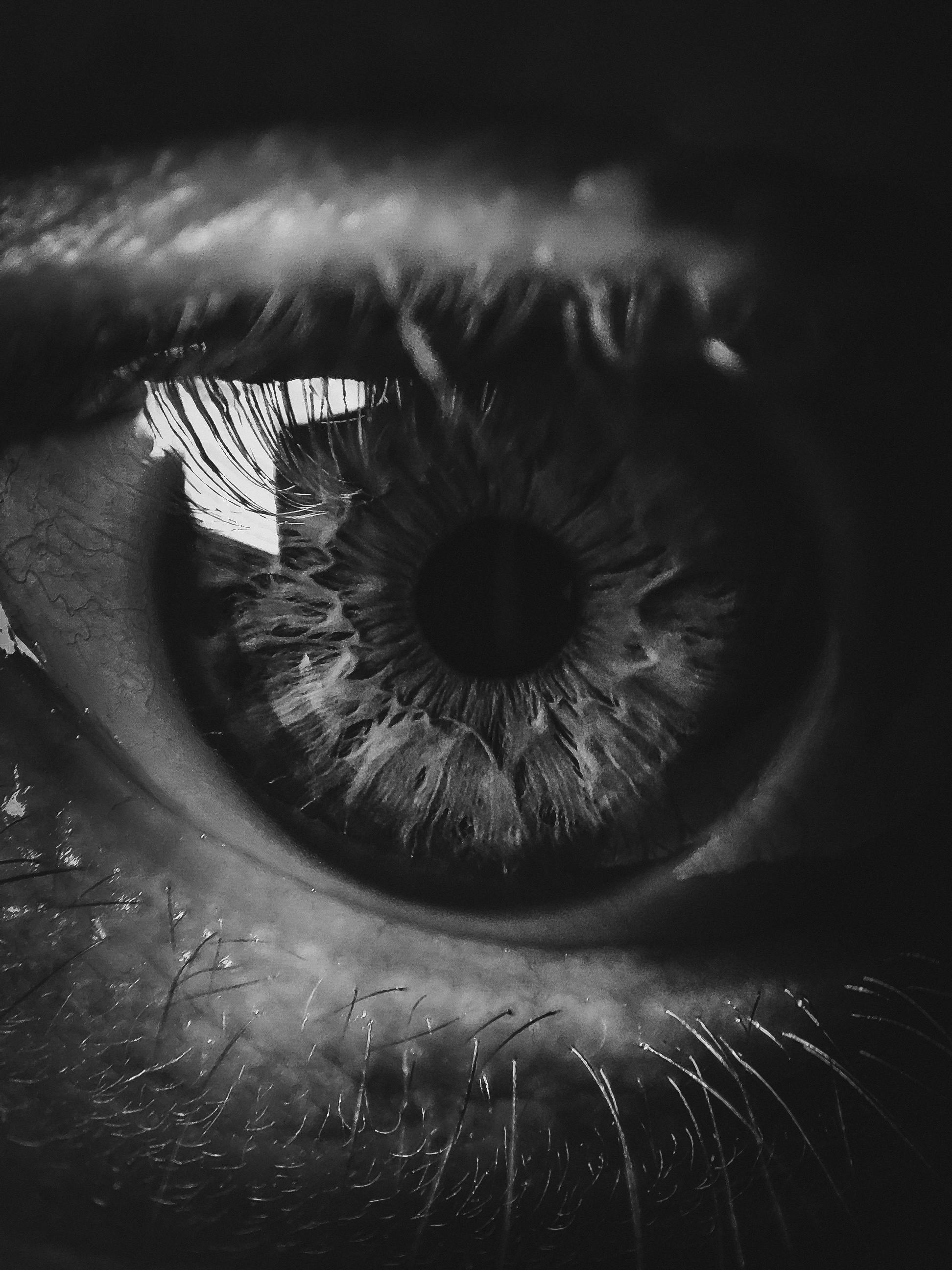 Grayscale Photo of Human Eye · Free Stock Photo