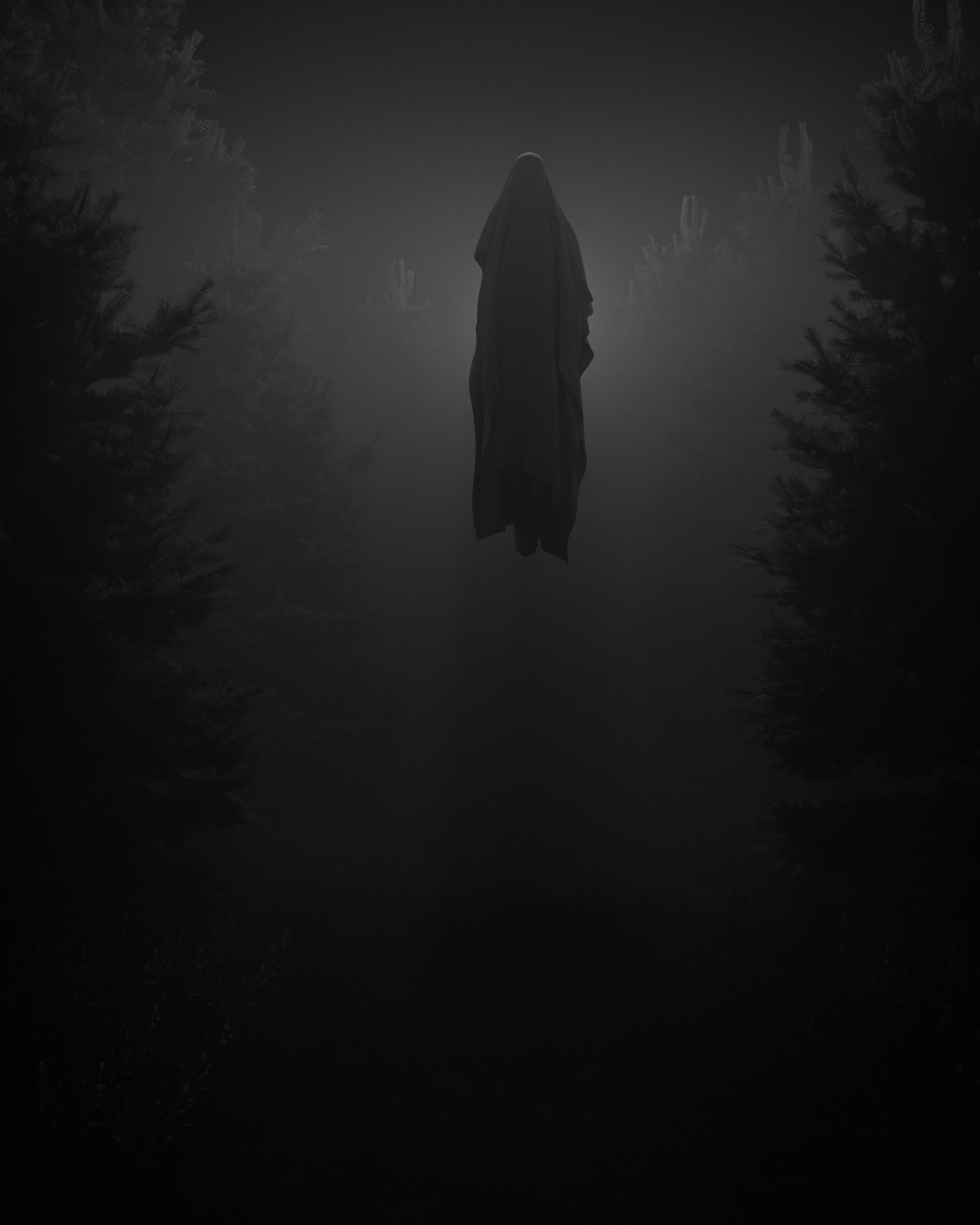 Foto de stock gratuita sobre 3d, abstracto, aparición, arboles, bosque ...