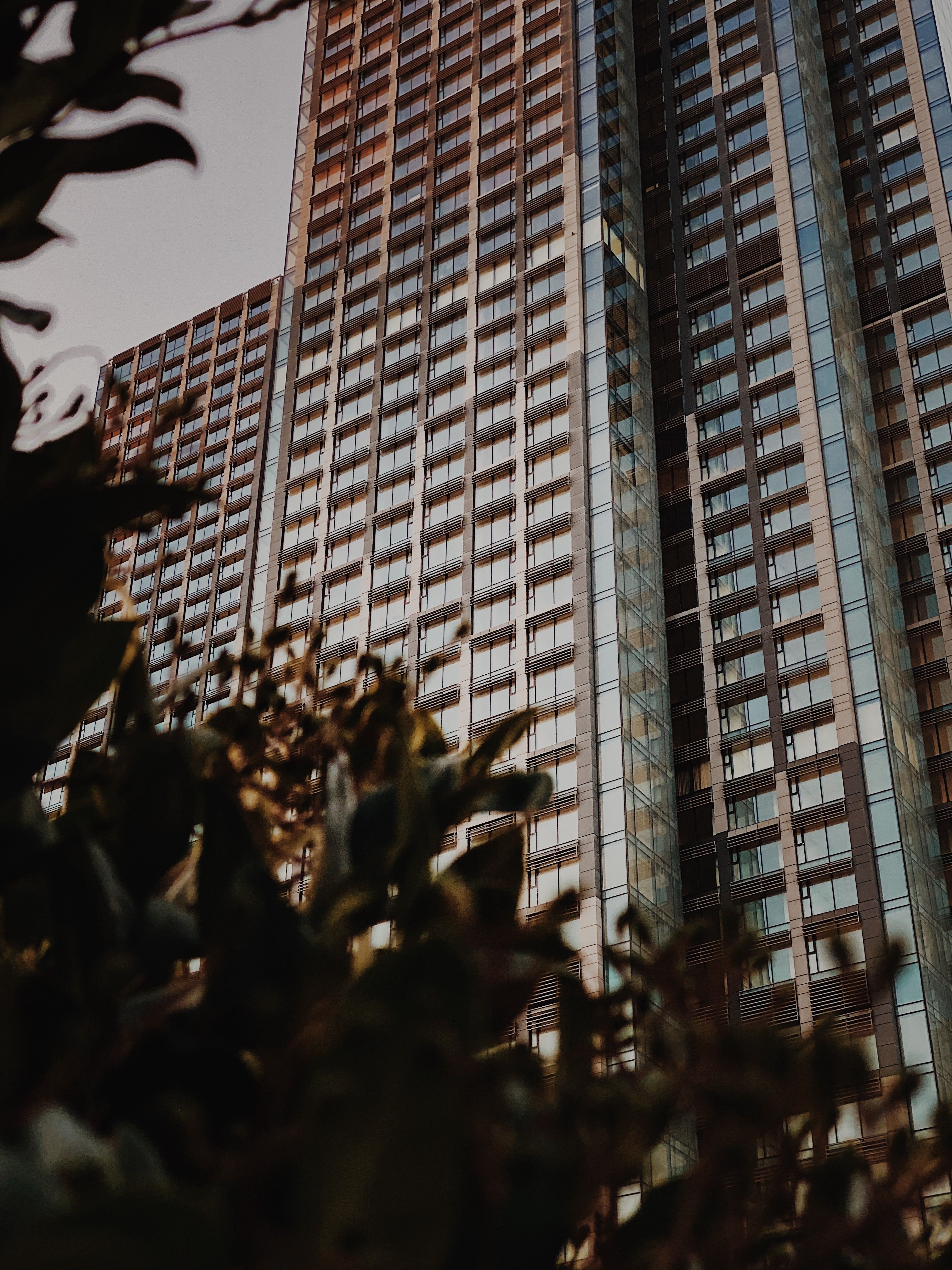 High-Rise Concrete Building · Free Stock Photo