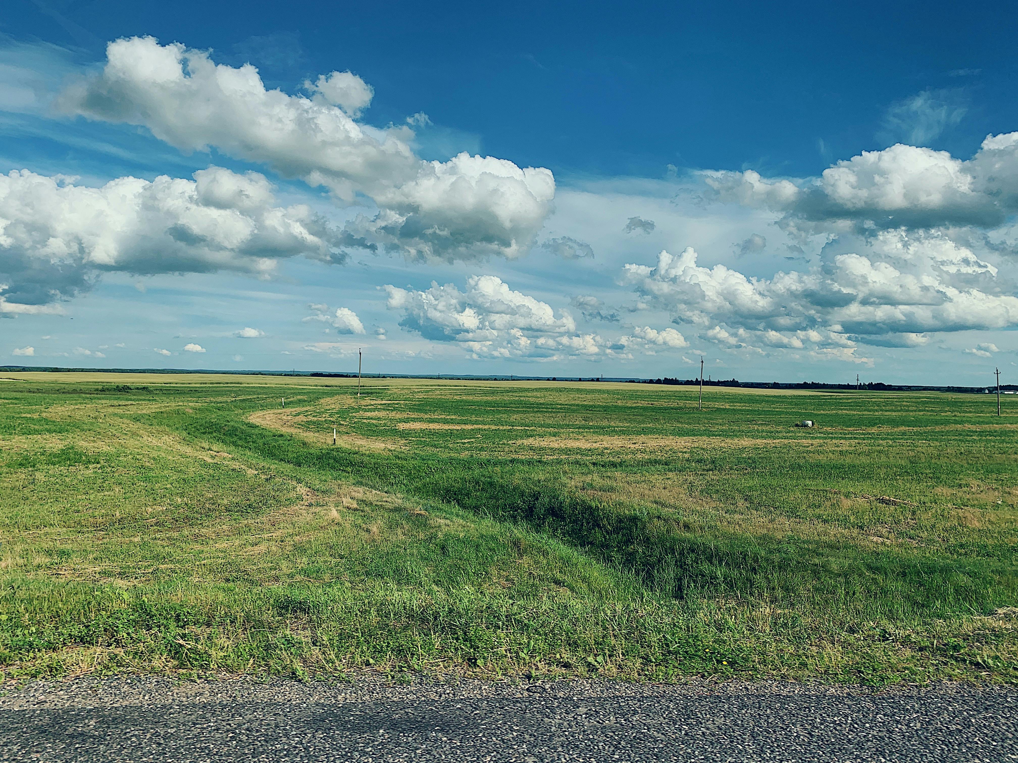 View of Green Grass Field From the Road · Free Stock Photo