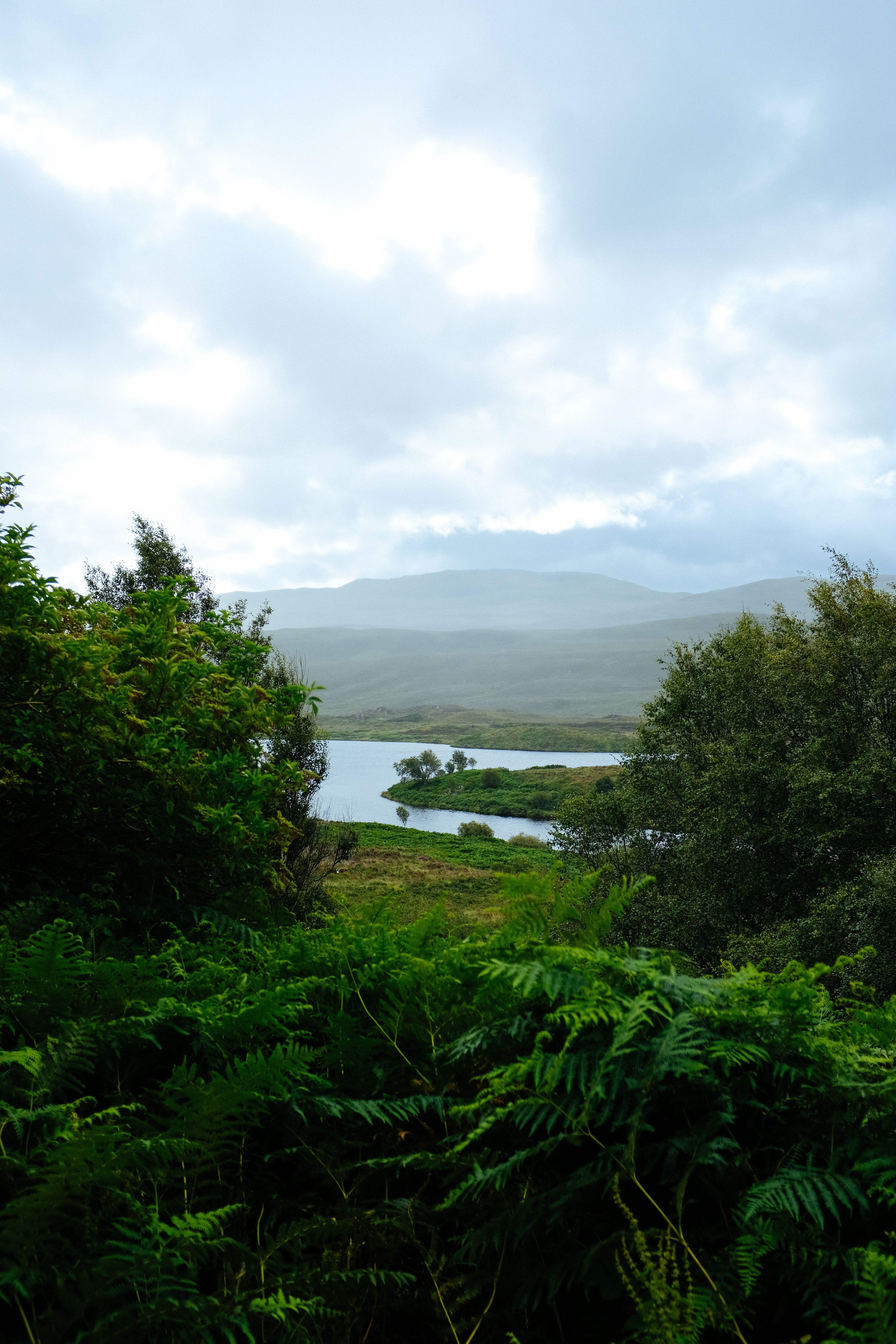 Tropical Landscape of Greenery and a River · Free Stock Photo