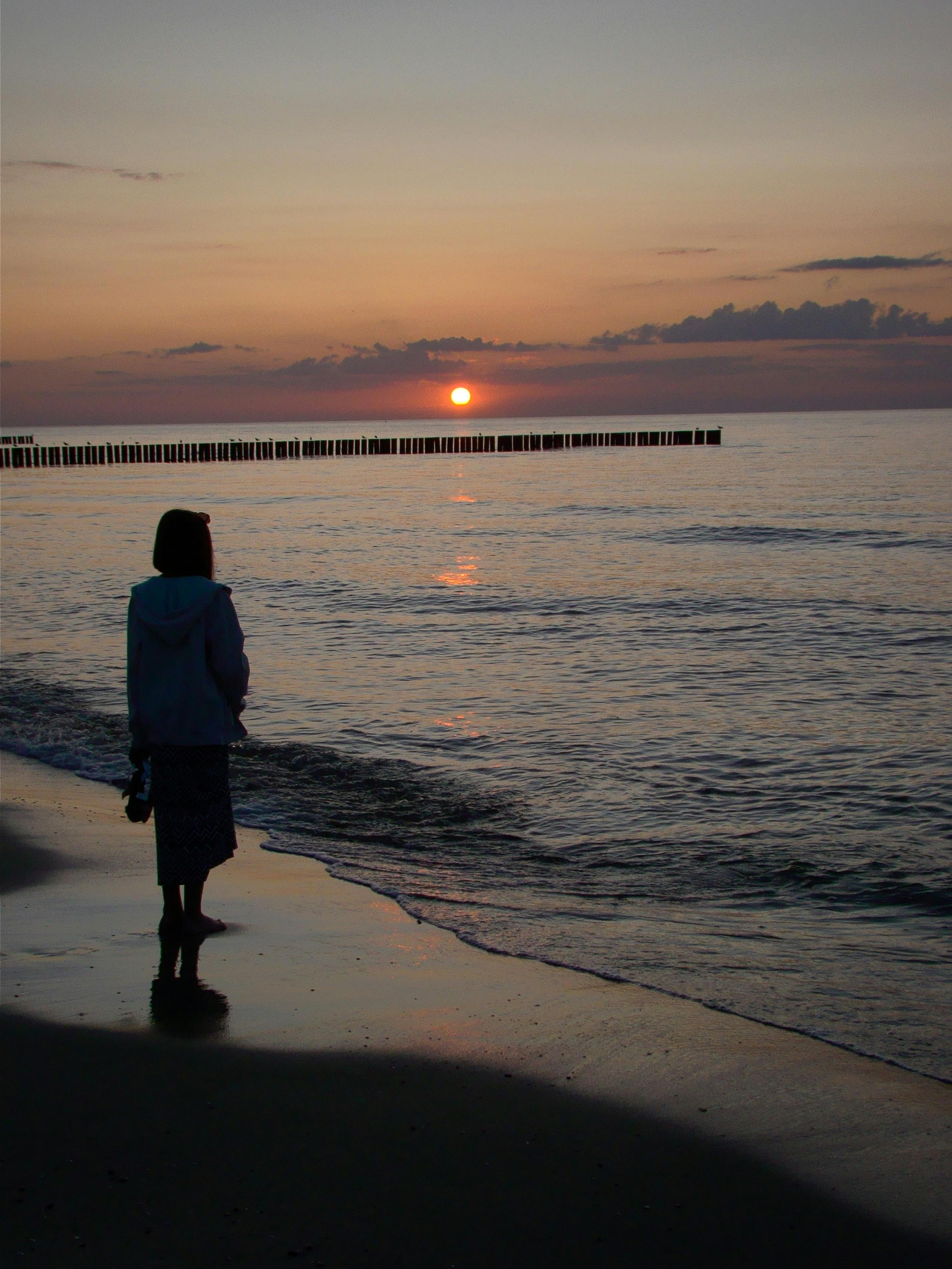 Photo of a Beach at Sunset · Free Stock Photo
