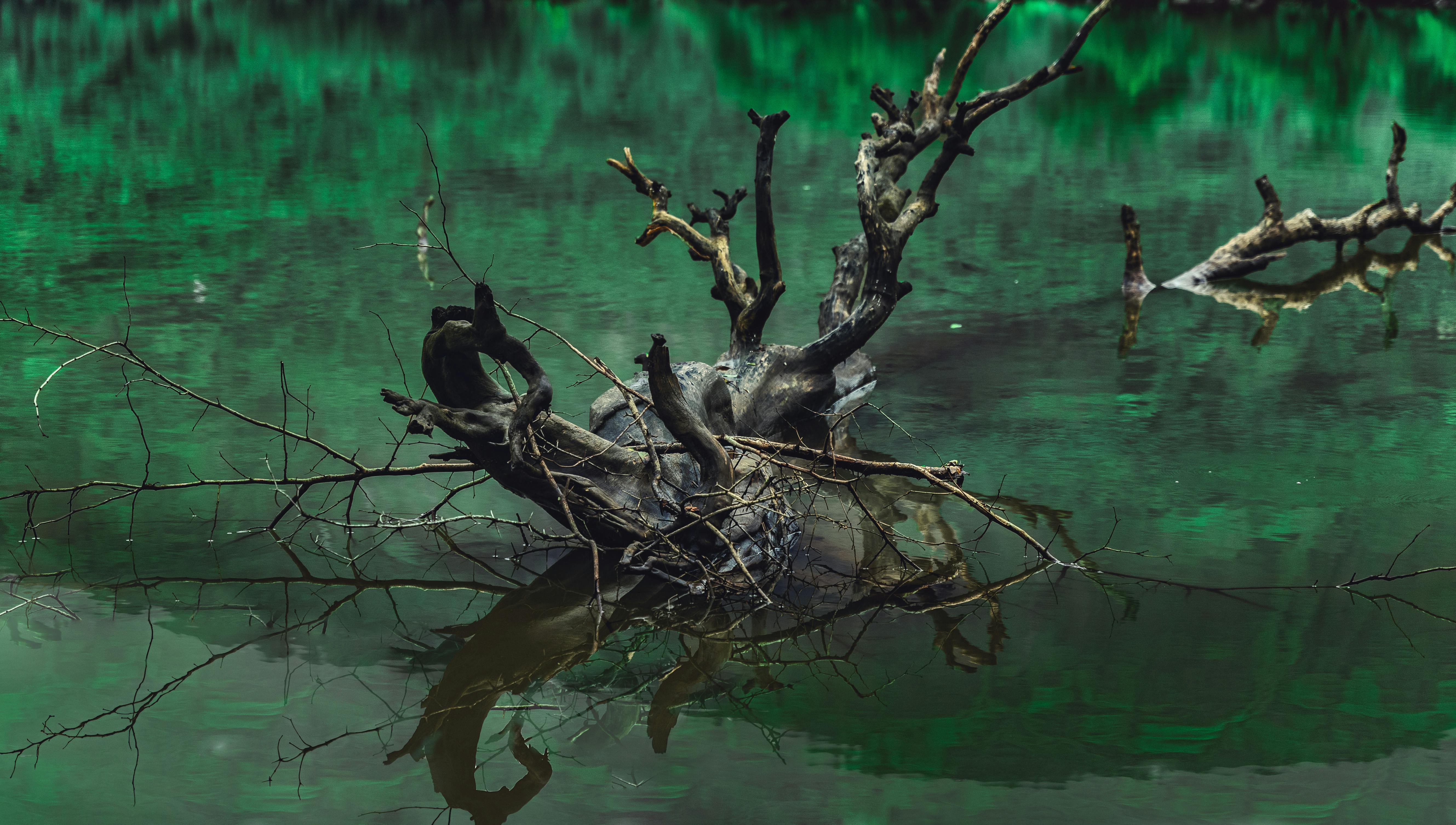 avinash devache - Photography