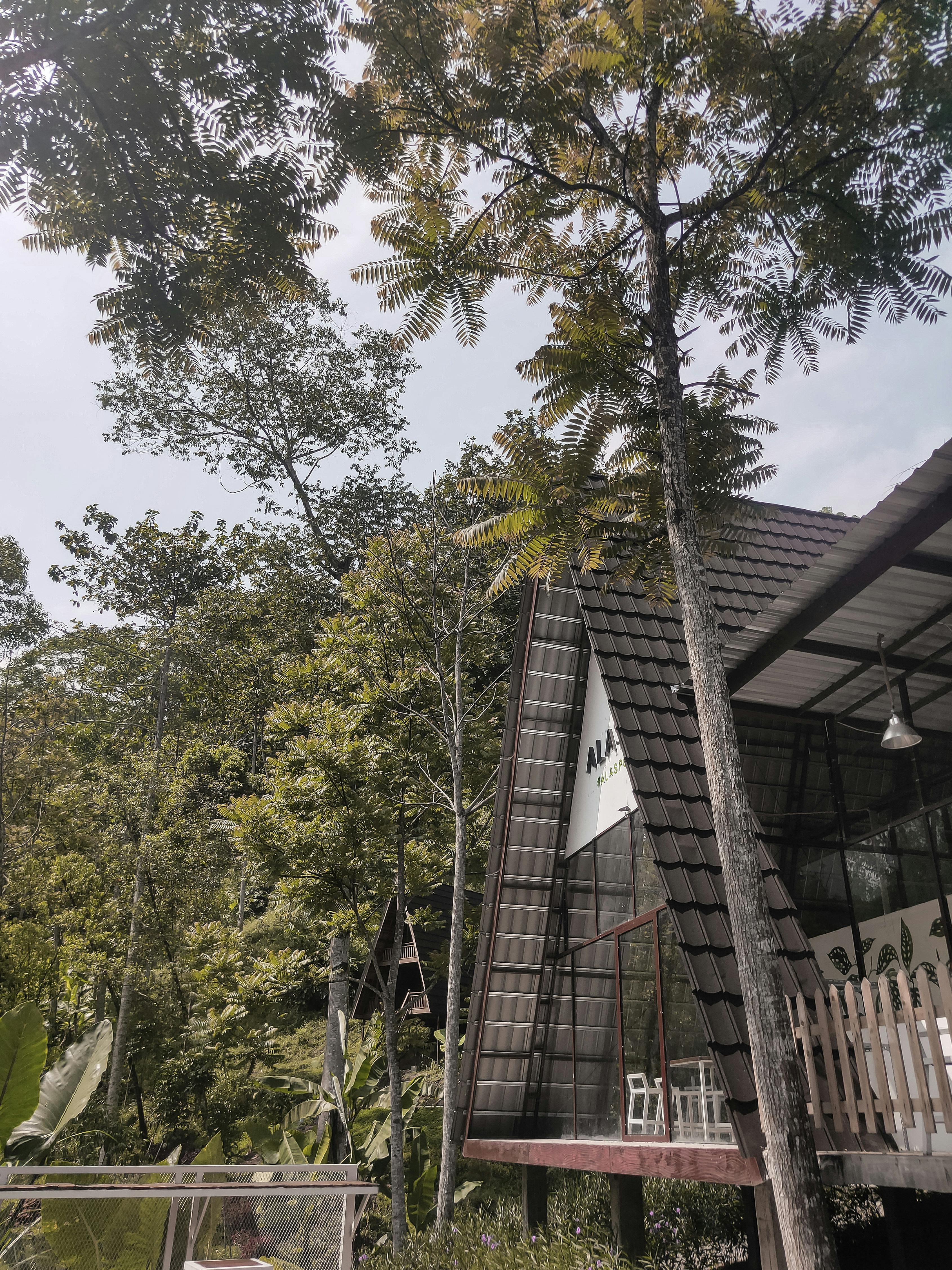 Homestay Photos, Download The BEST Free Homestay Stock Photos & HD Images