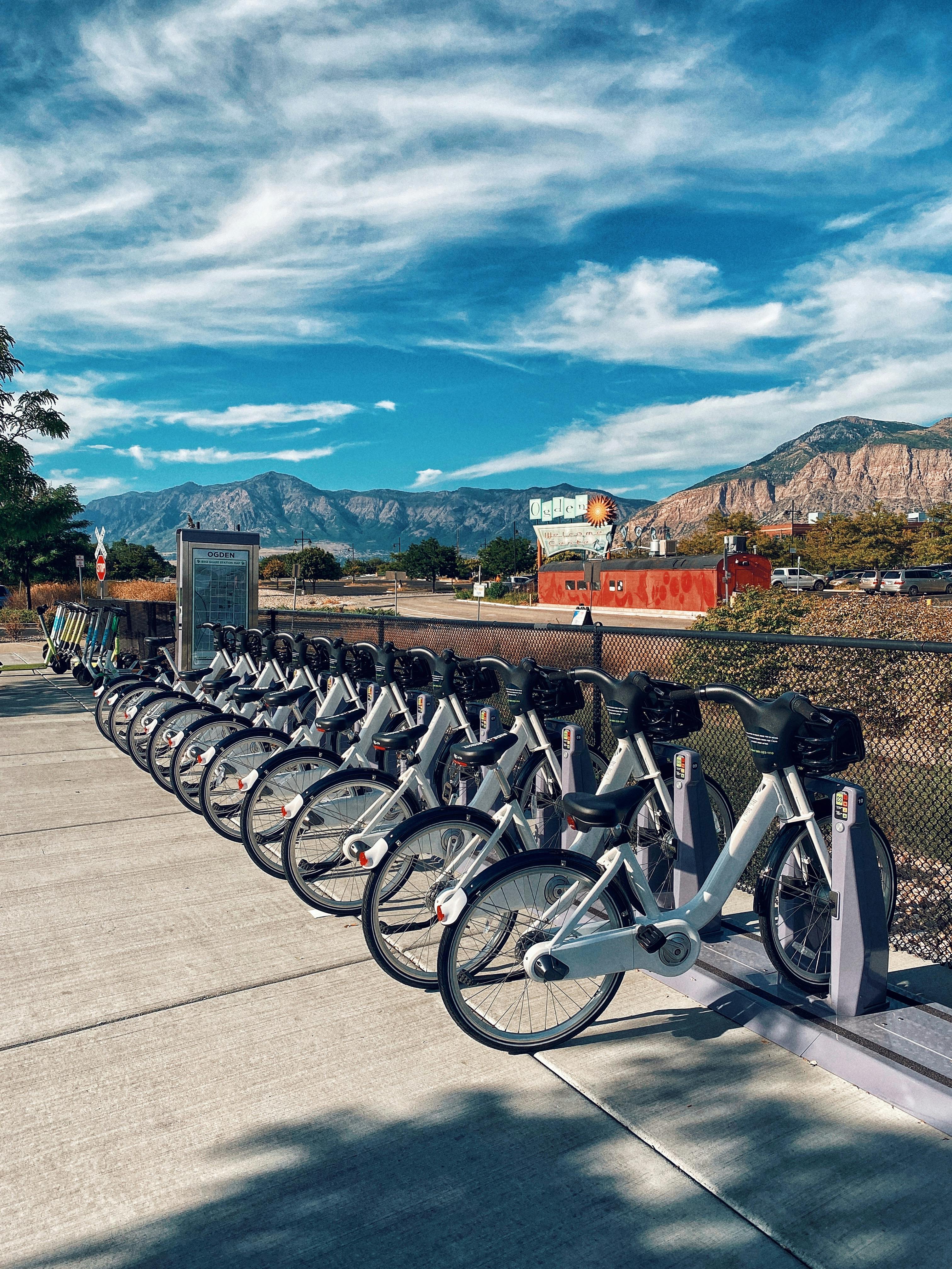 Jason Alvarez - 写真