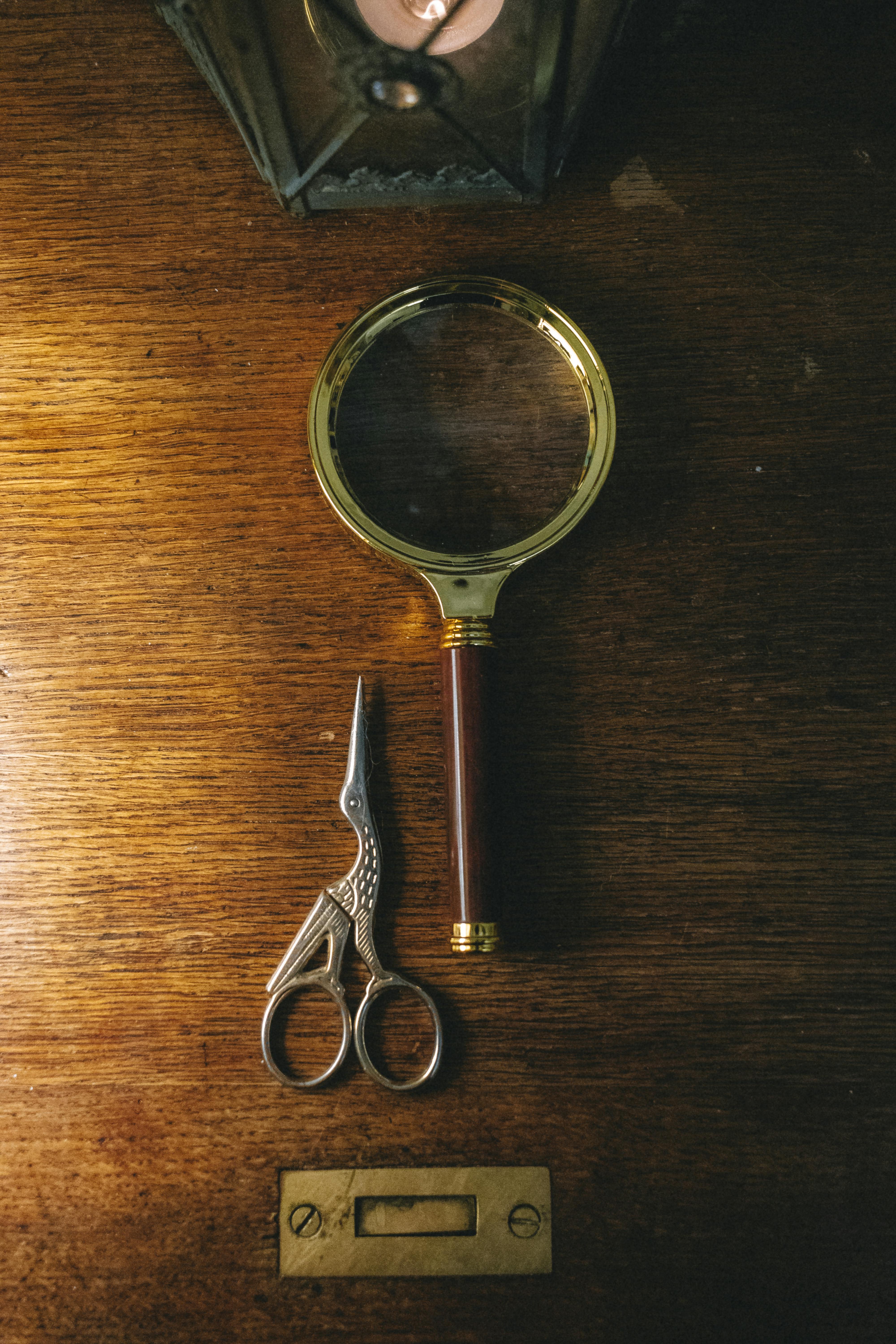 Yellow Flowers in Clear Glass Vase · Free Stock Photo