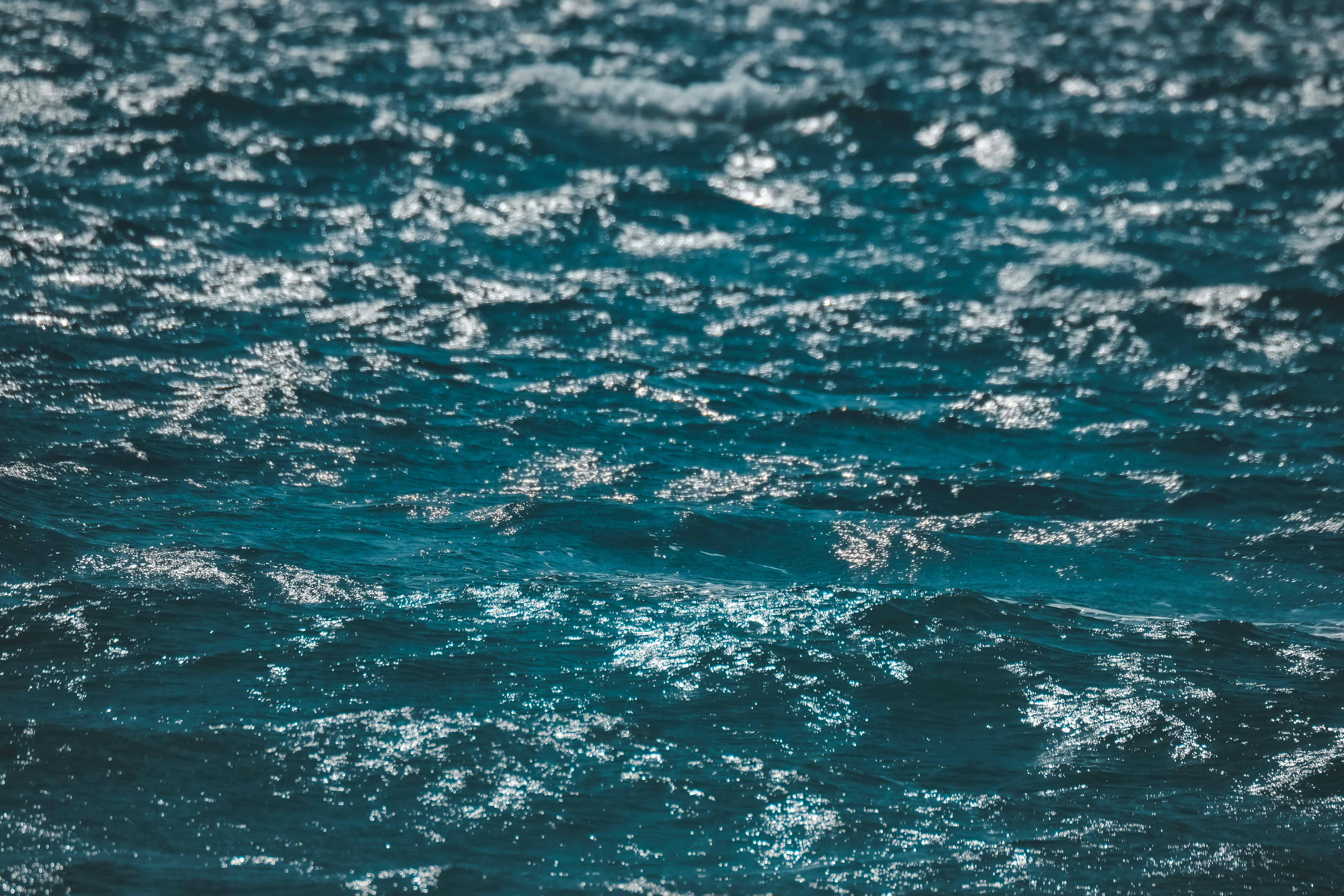 Calm Water in Close-up Photography · Free Stock Photo