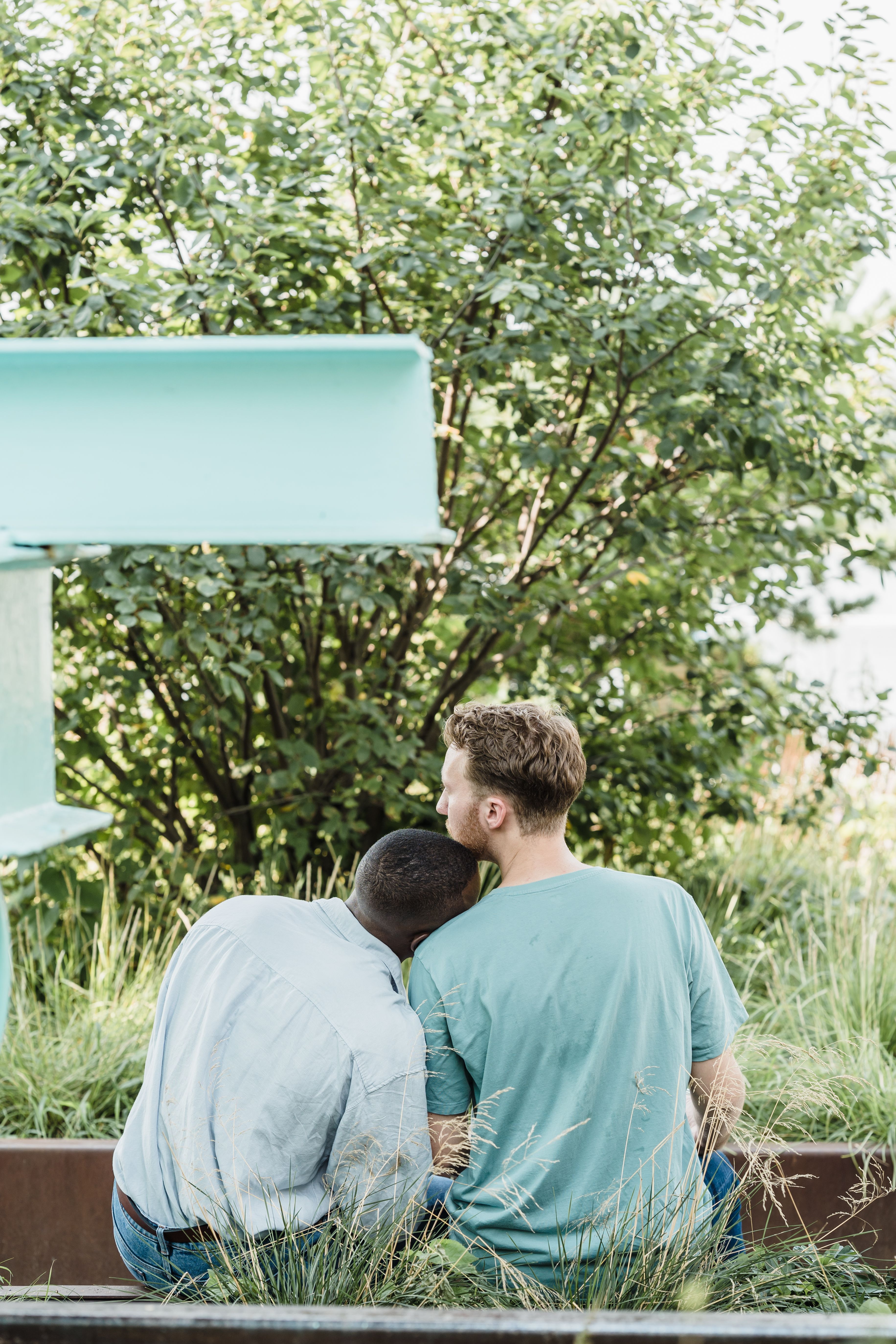 Back View of Men Sitting · Free Stock Photo