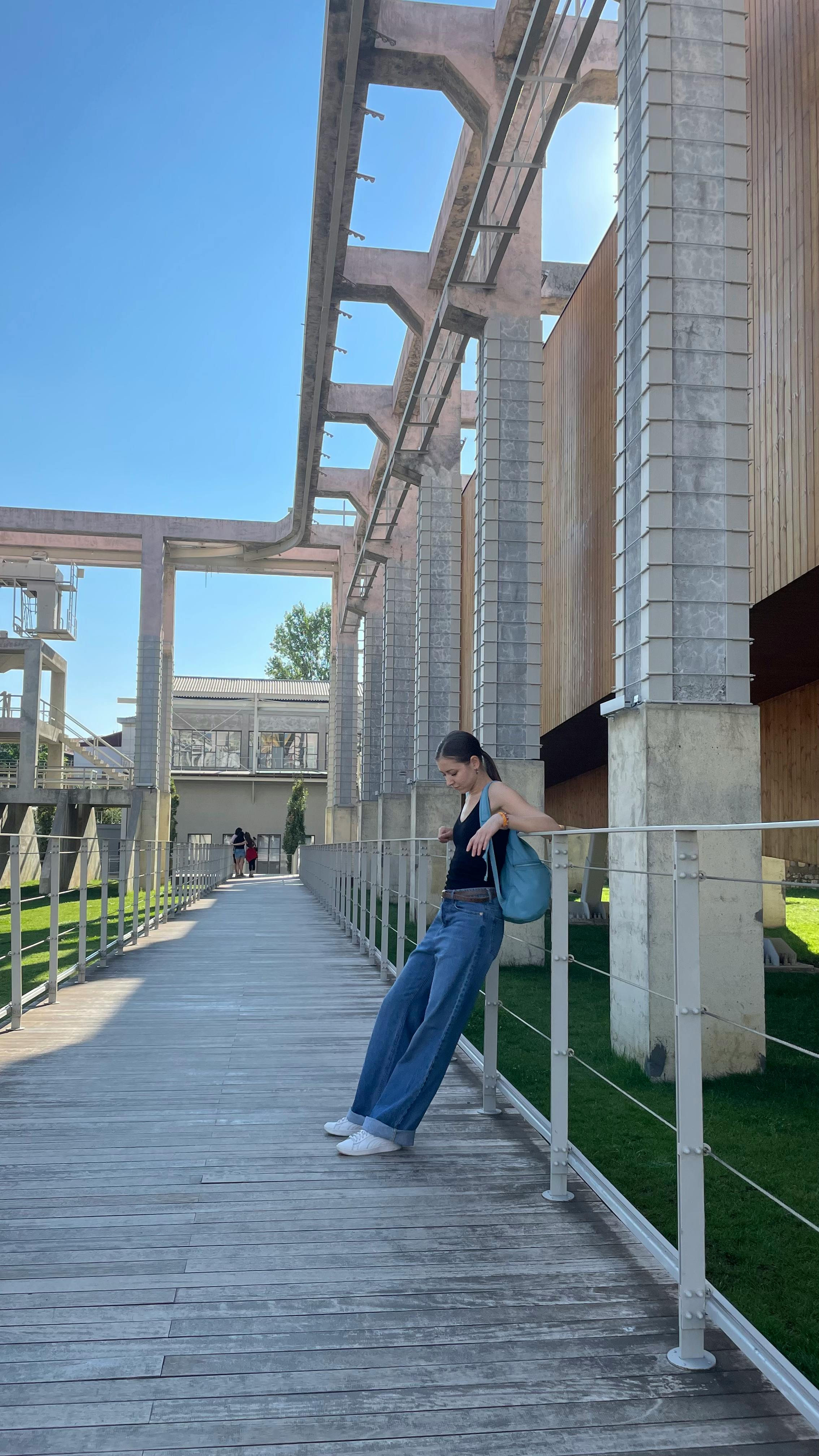 A Woman Looking inside Her Bag · Free Stock Photo