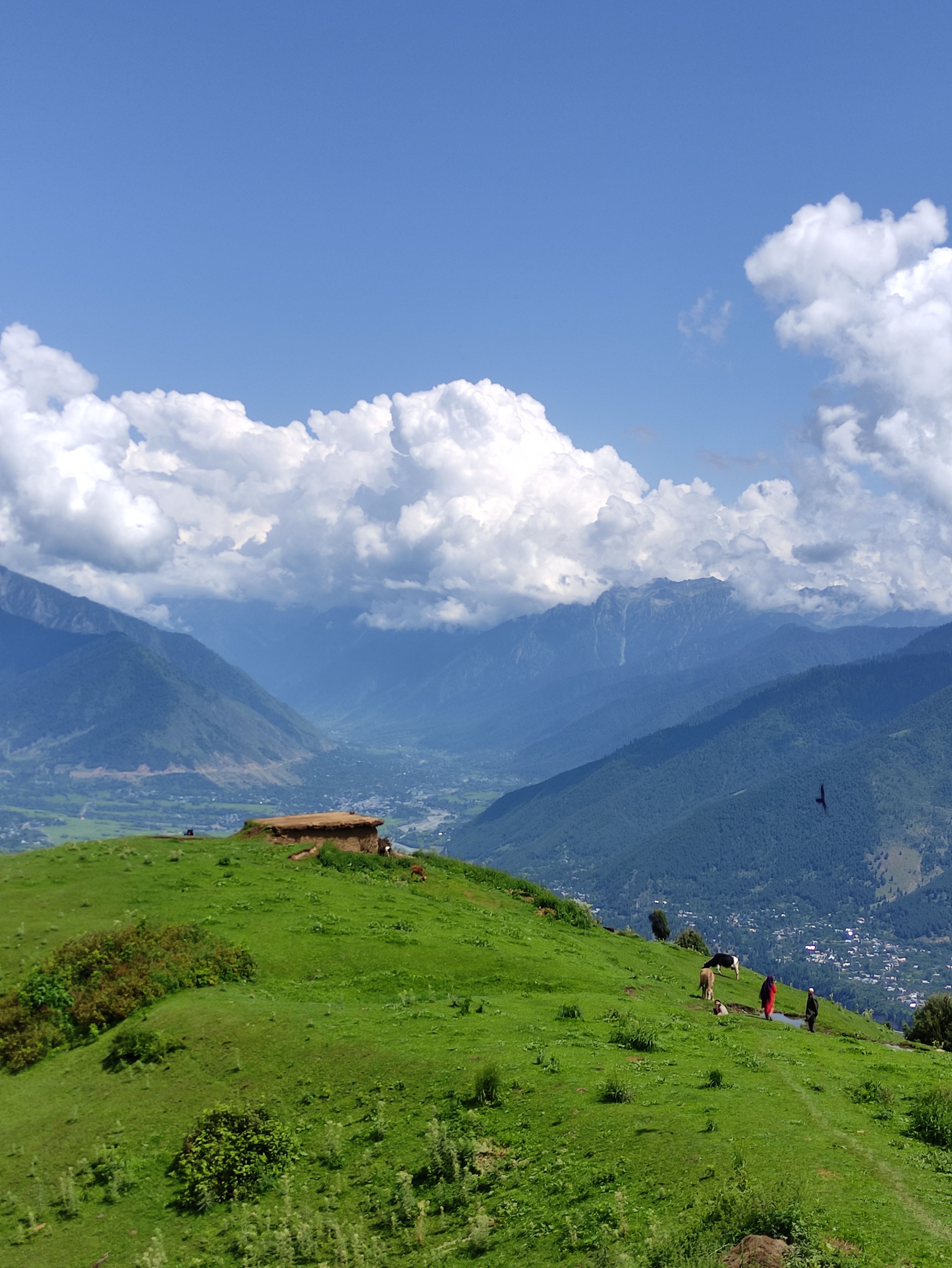 Grass Field Near Mountain under Blue Sky and White Clouds · Free Stock ...