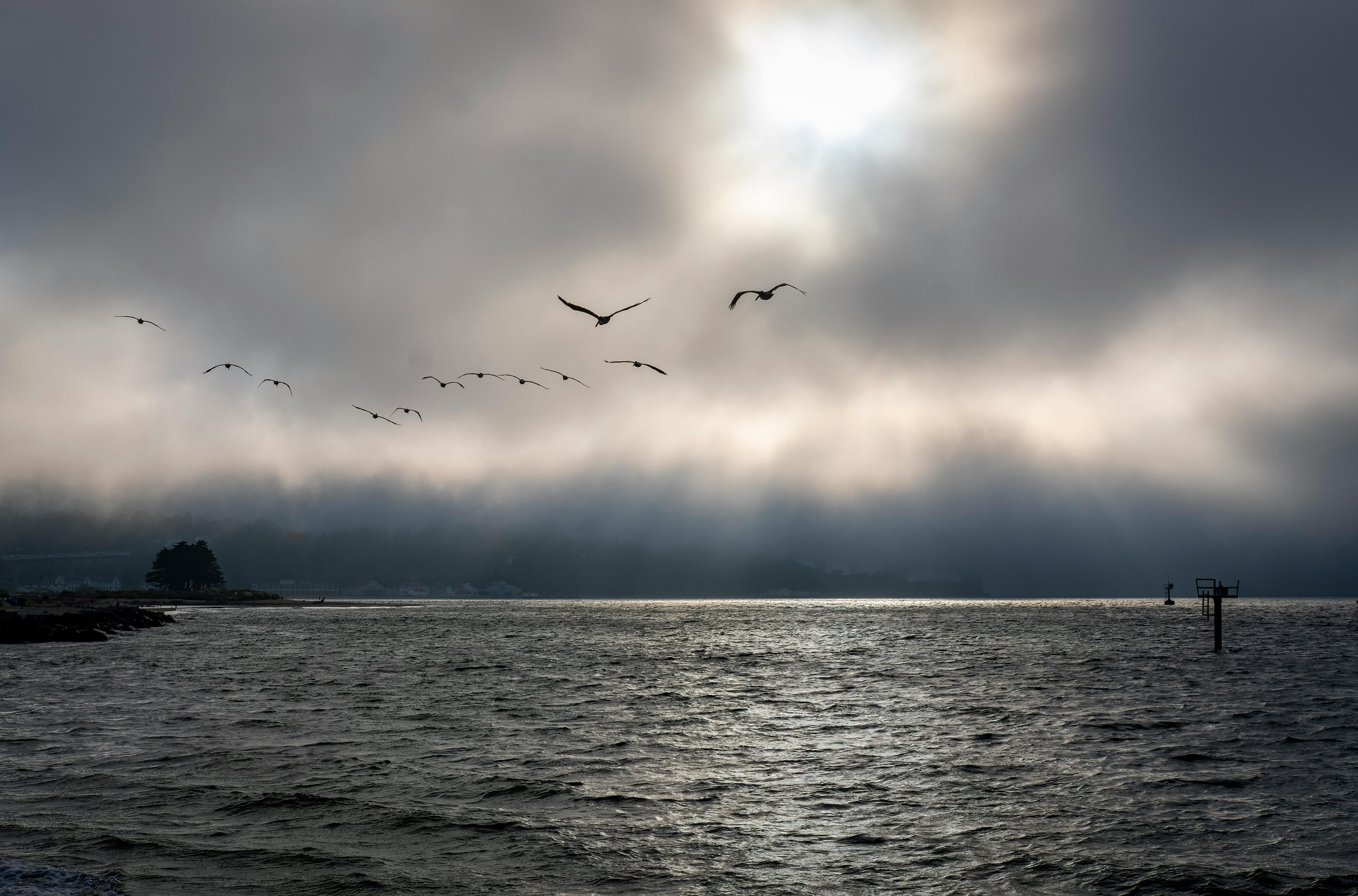 Body of Water Under Cloudy Sky · Free Stock Photo