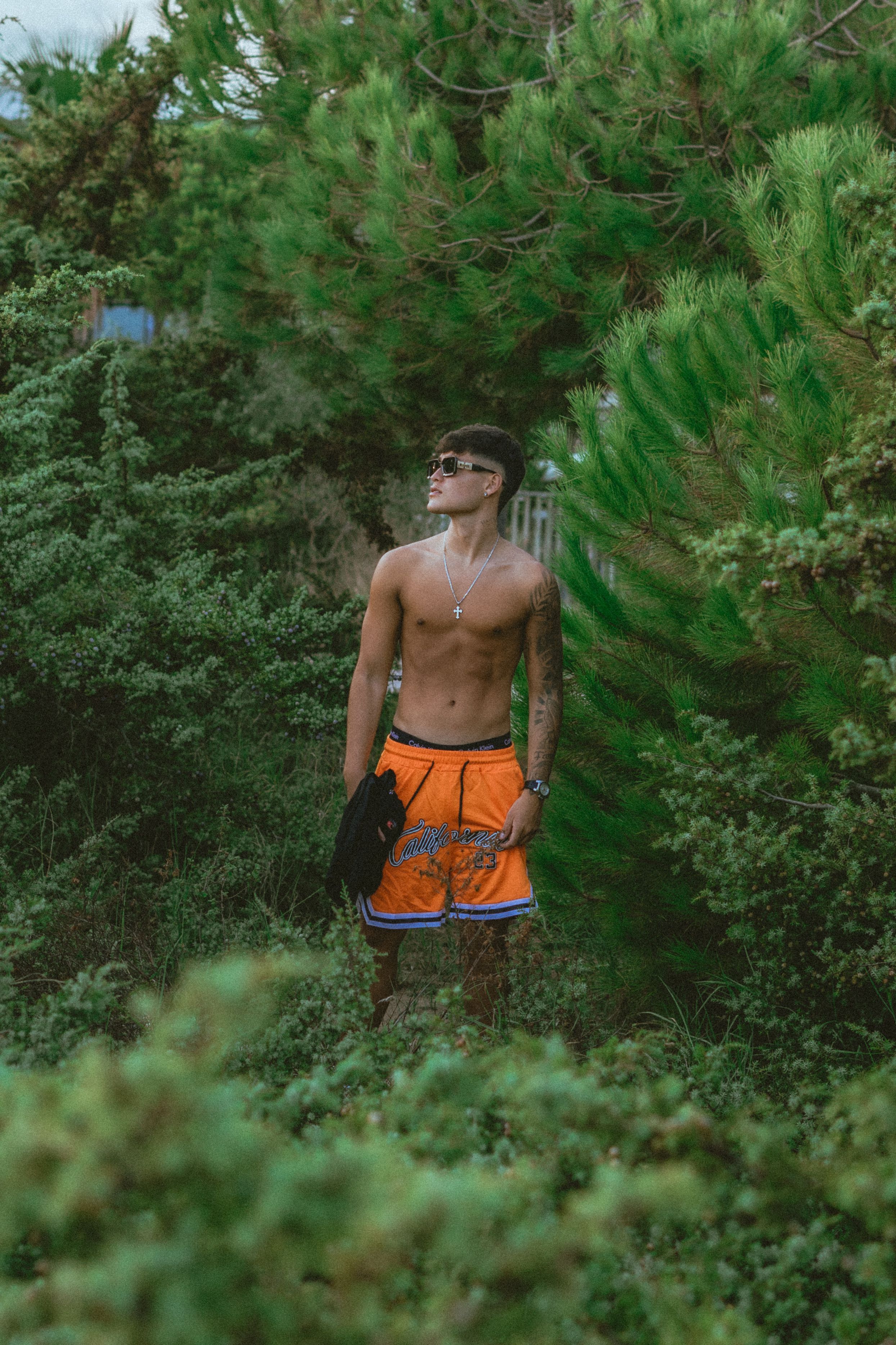 Shirtless Man Standing Between Trees · Free Stock Photo