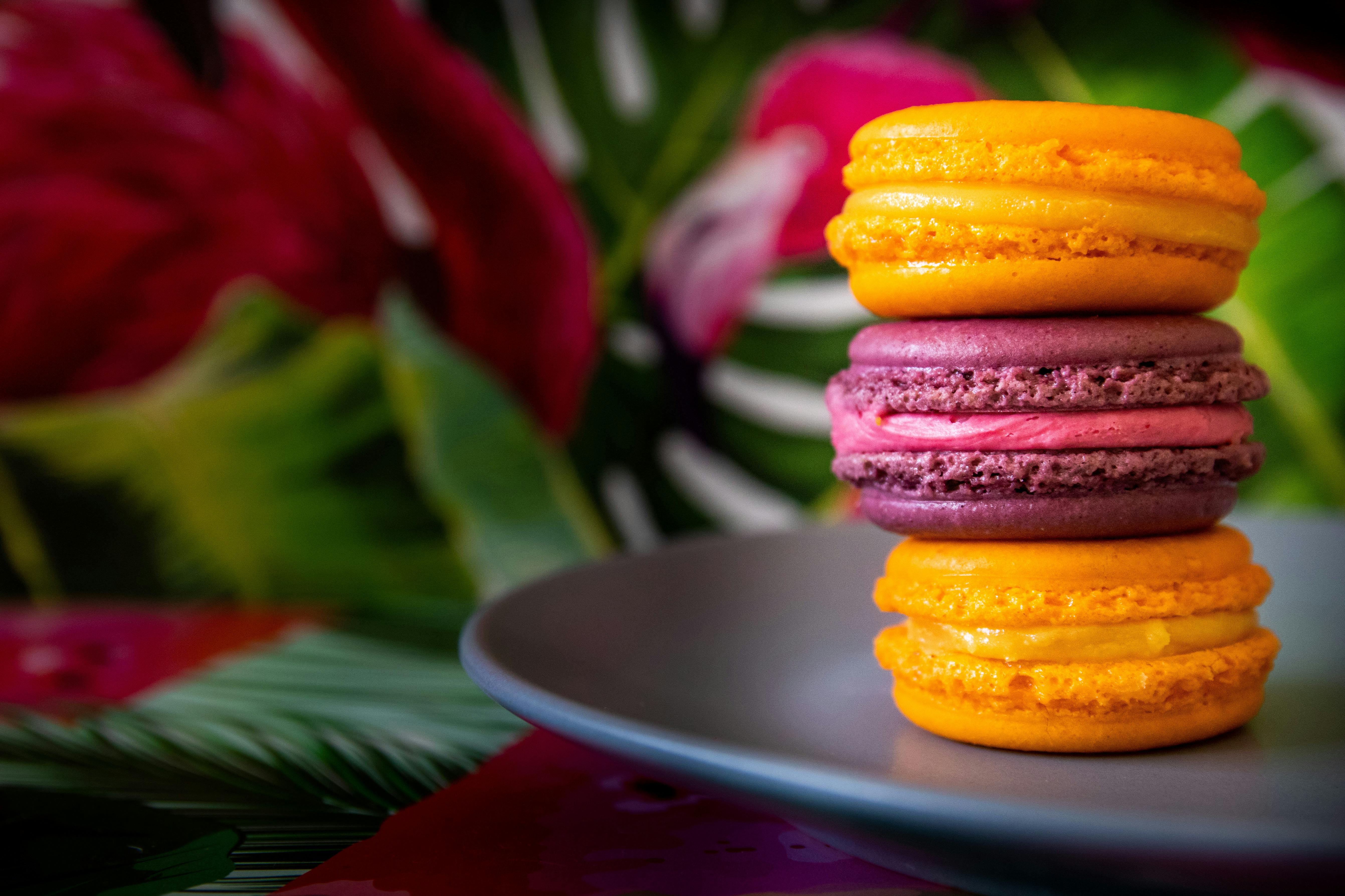 A Stack of French Macarons · Free Stock Photo