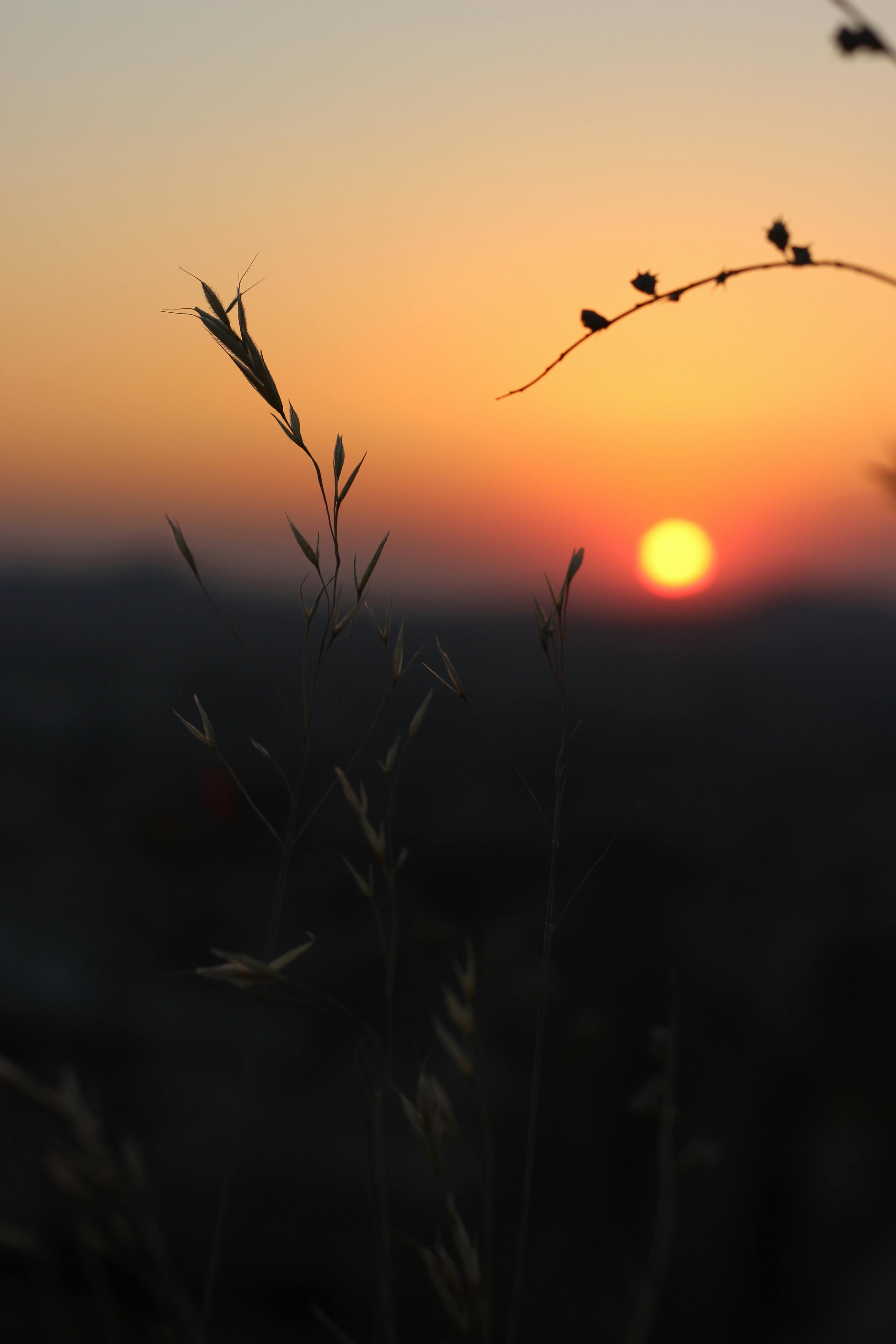 Gray Stone on Grassy Field during Under Cloudy Sky during Sunset · Free ...