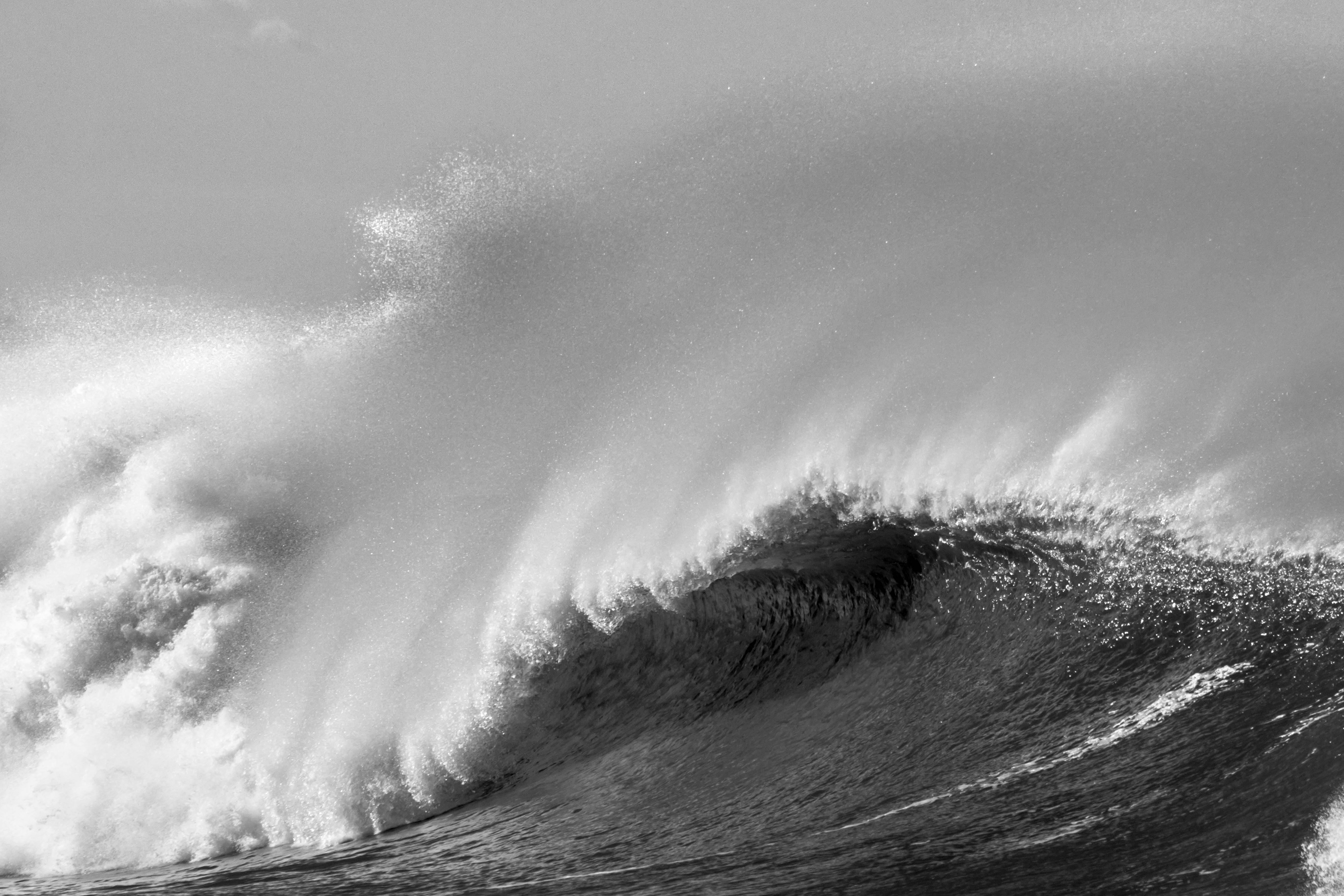 Majestic Wave on Sea · Free Stock Photo