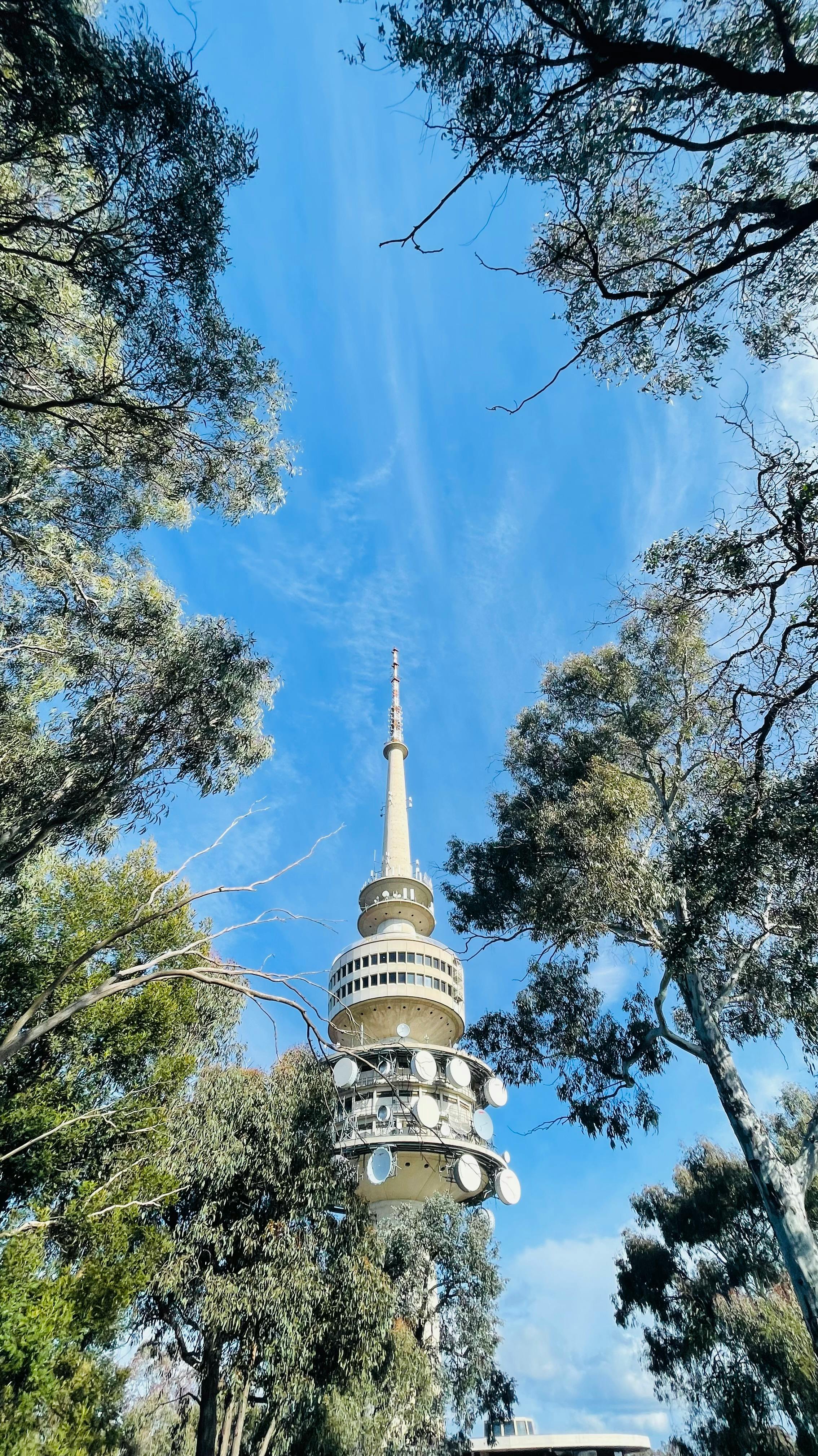 Mohammed Abdul Bari - Fotografía