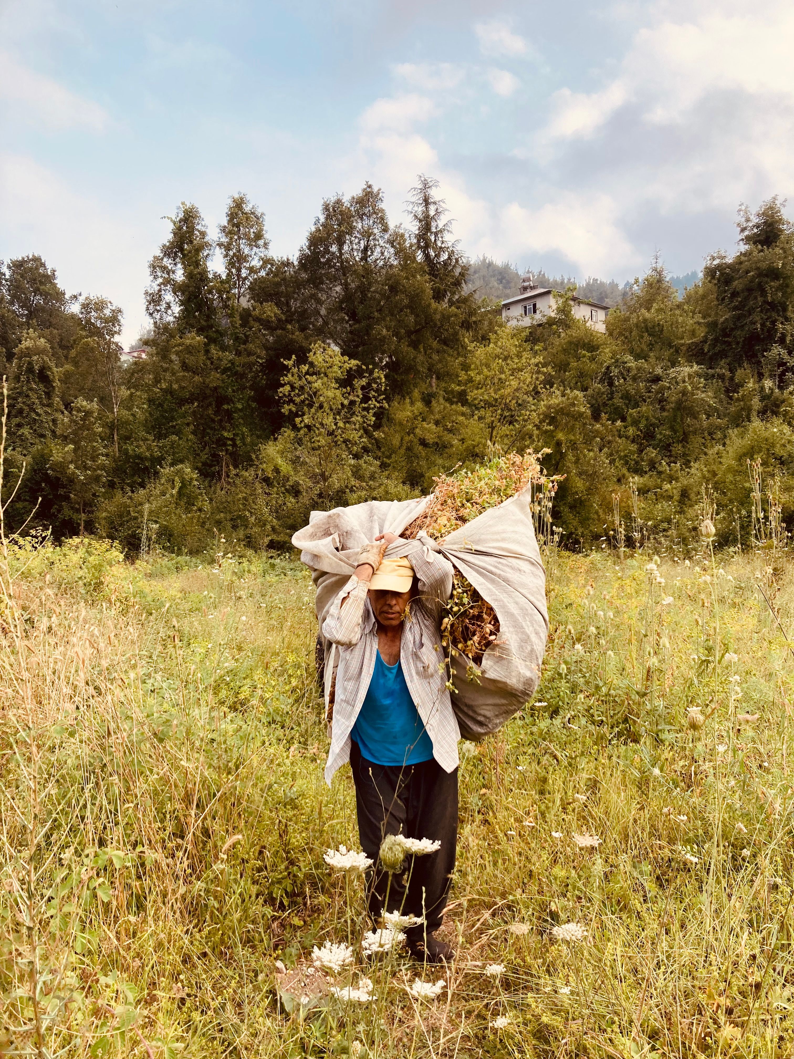 Man Carrying Bags on Back · Free Stock Photo