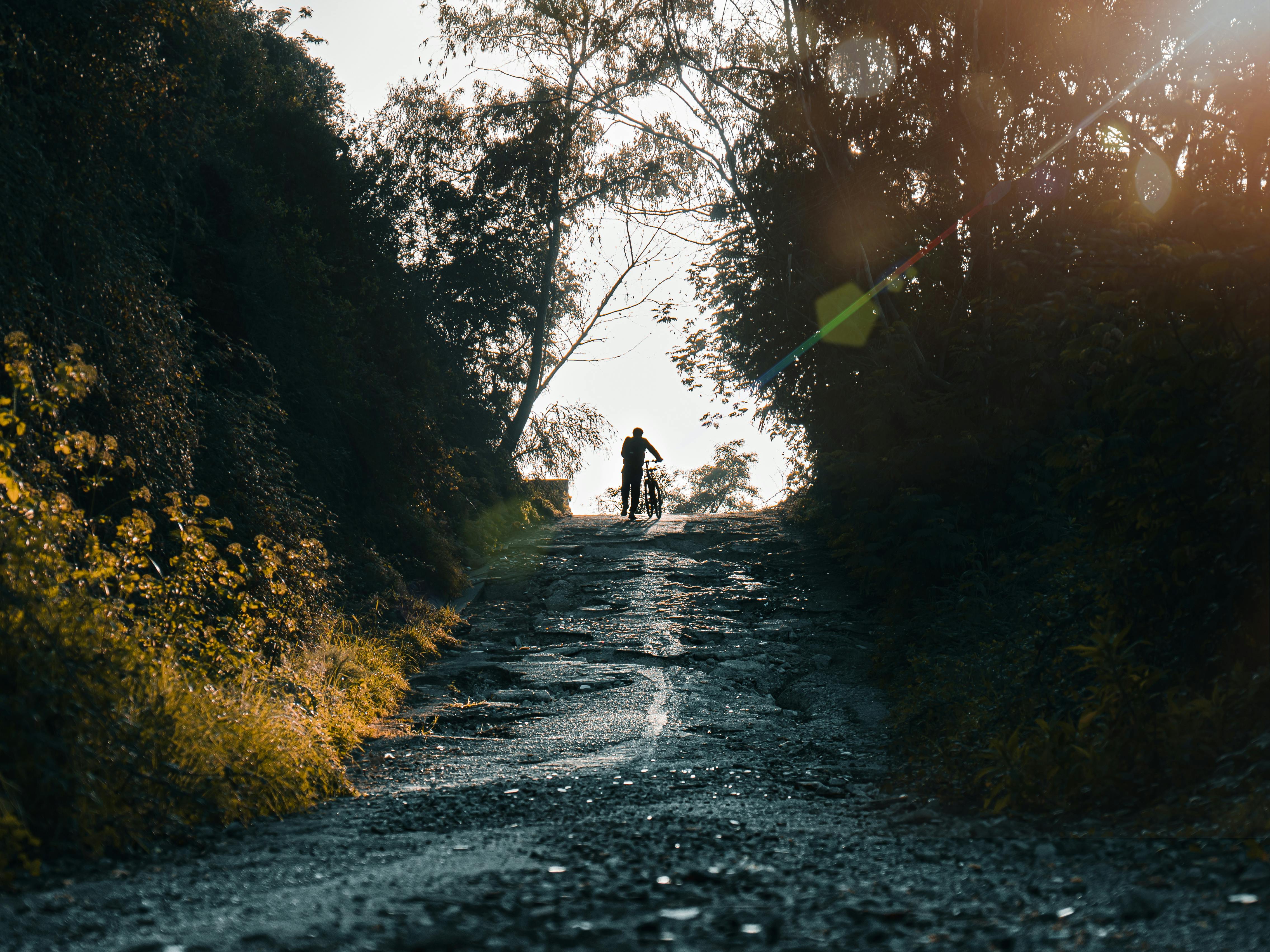 Pushing Back Photos, Download The BEST Free Pushing Back Stock Photos ...