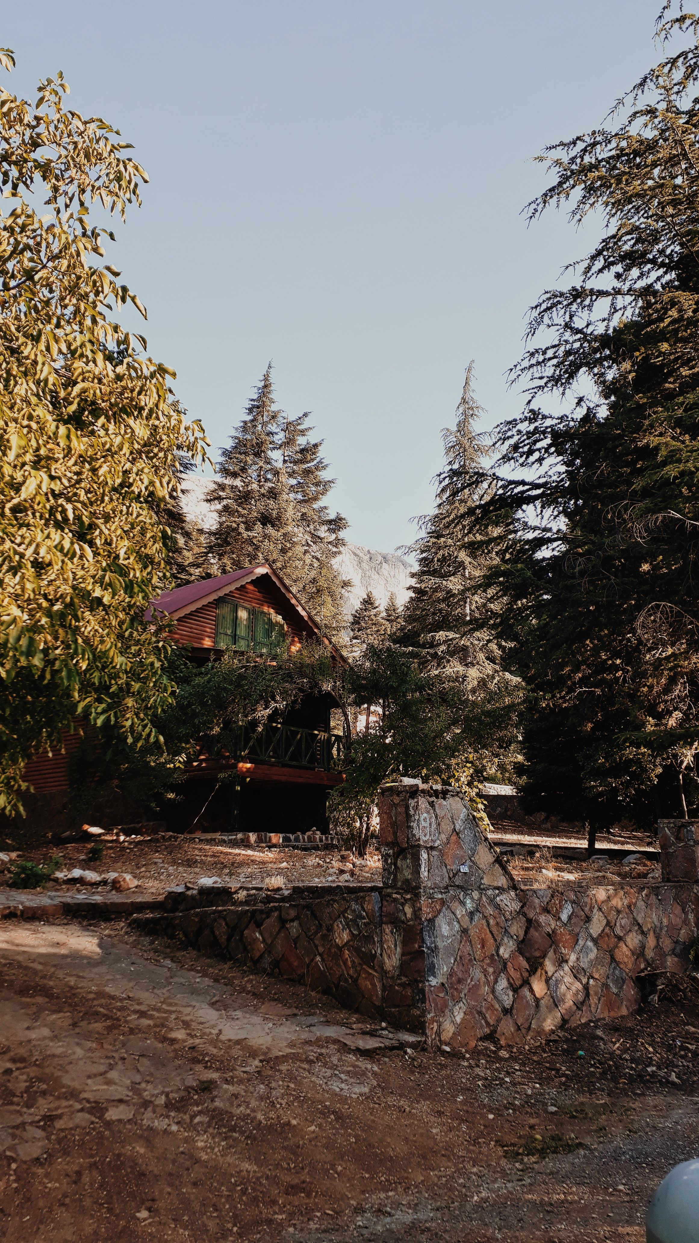 A Cabin in a Forest · Free Stock Photo