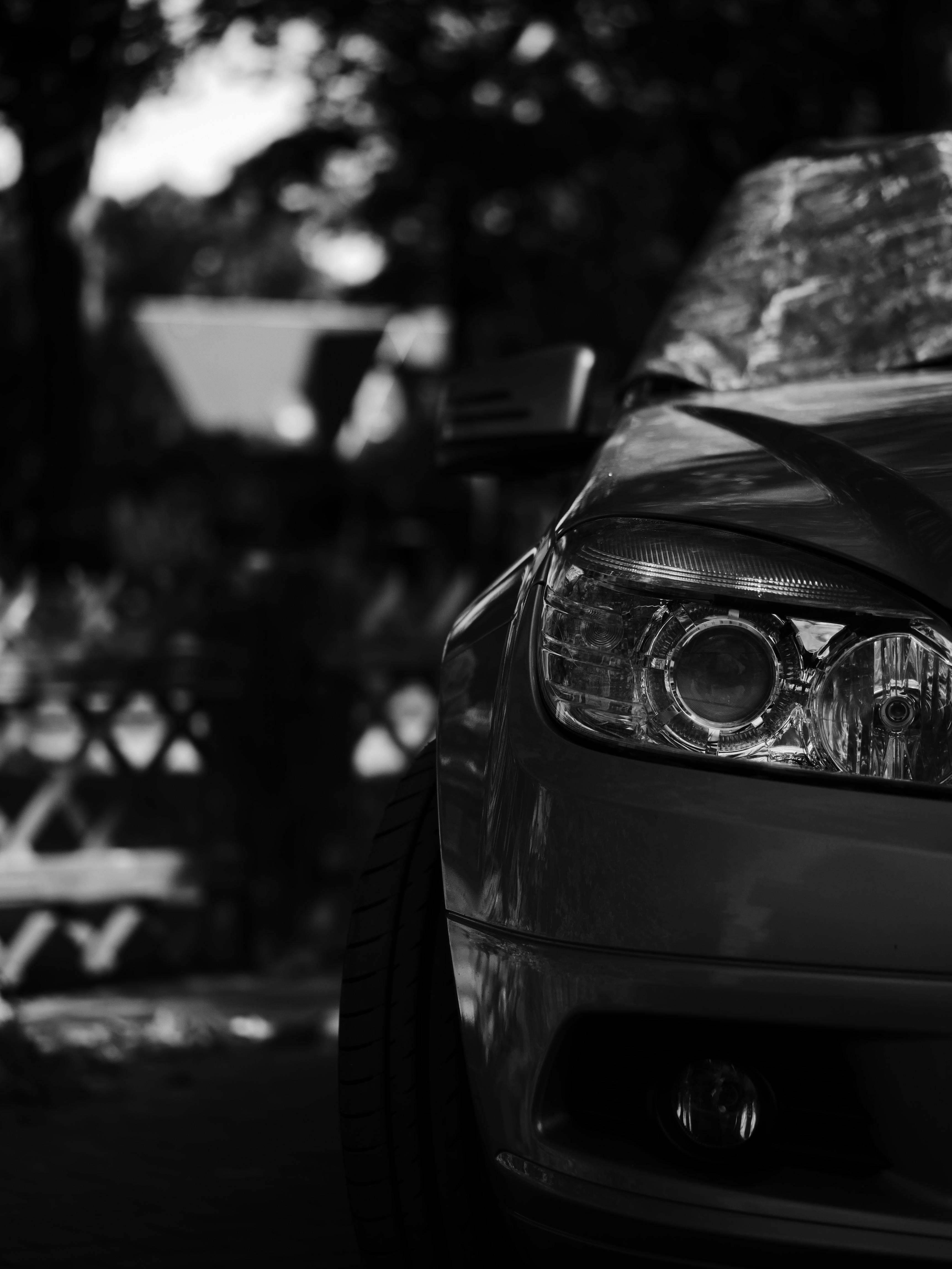 Grayscale Photography of Car Parked on Grass · Free Stock Photo