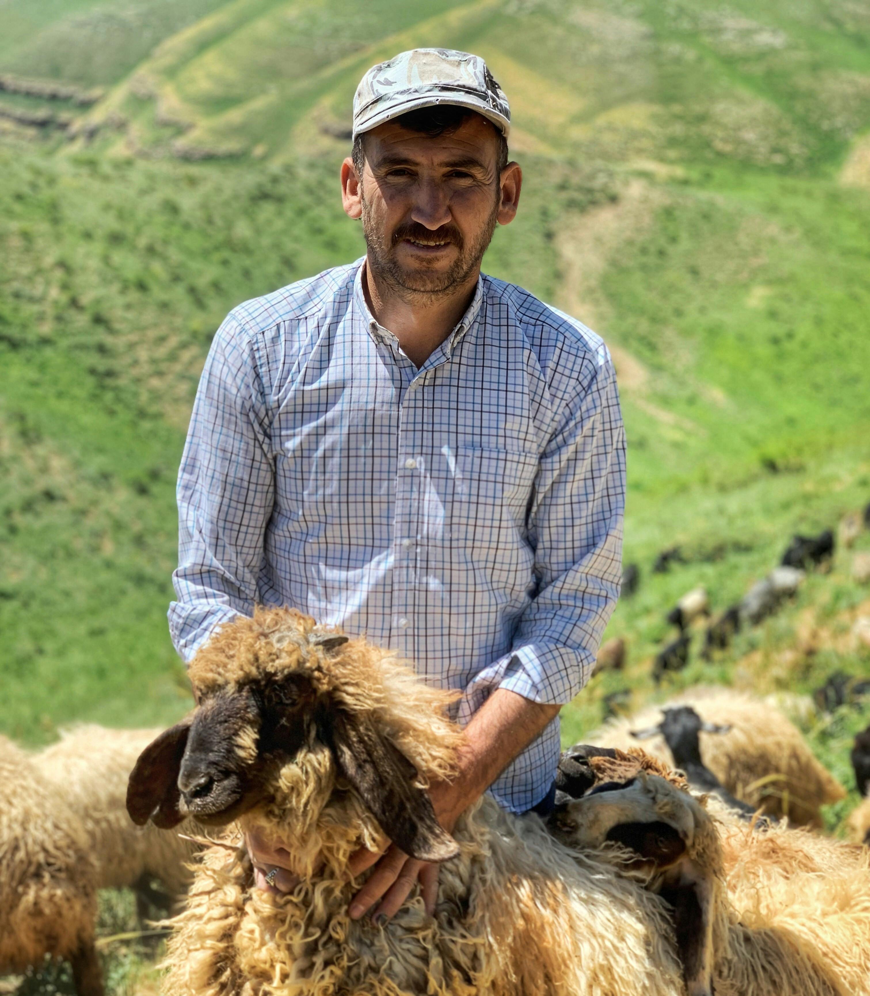 A Man Carrying a Goat · Free Stock Photo