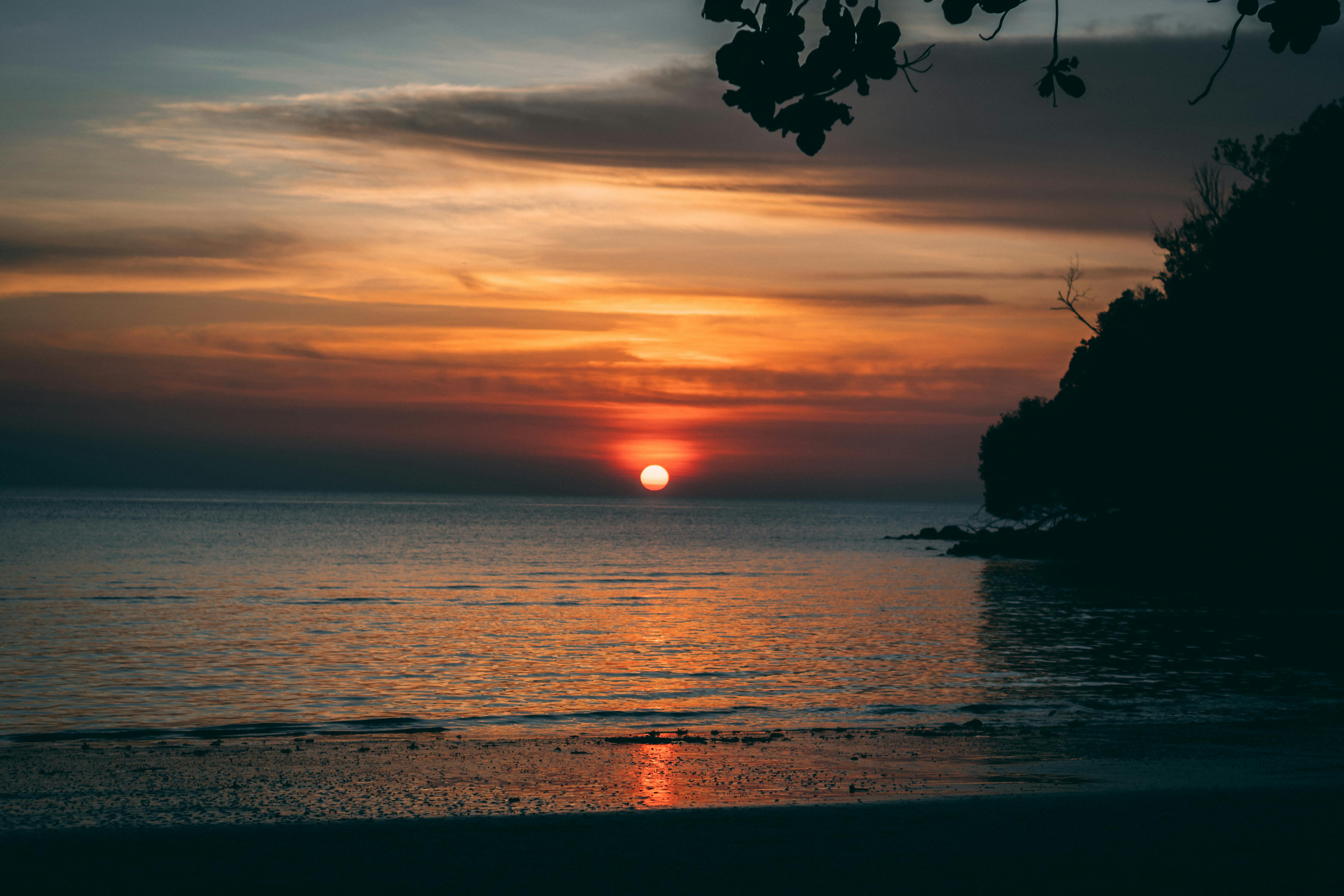 A View of the Golden Hour · Free Stock Photo