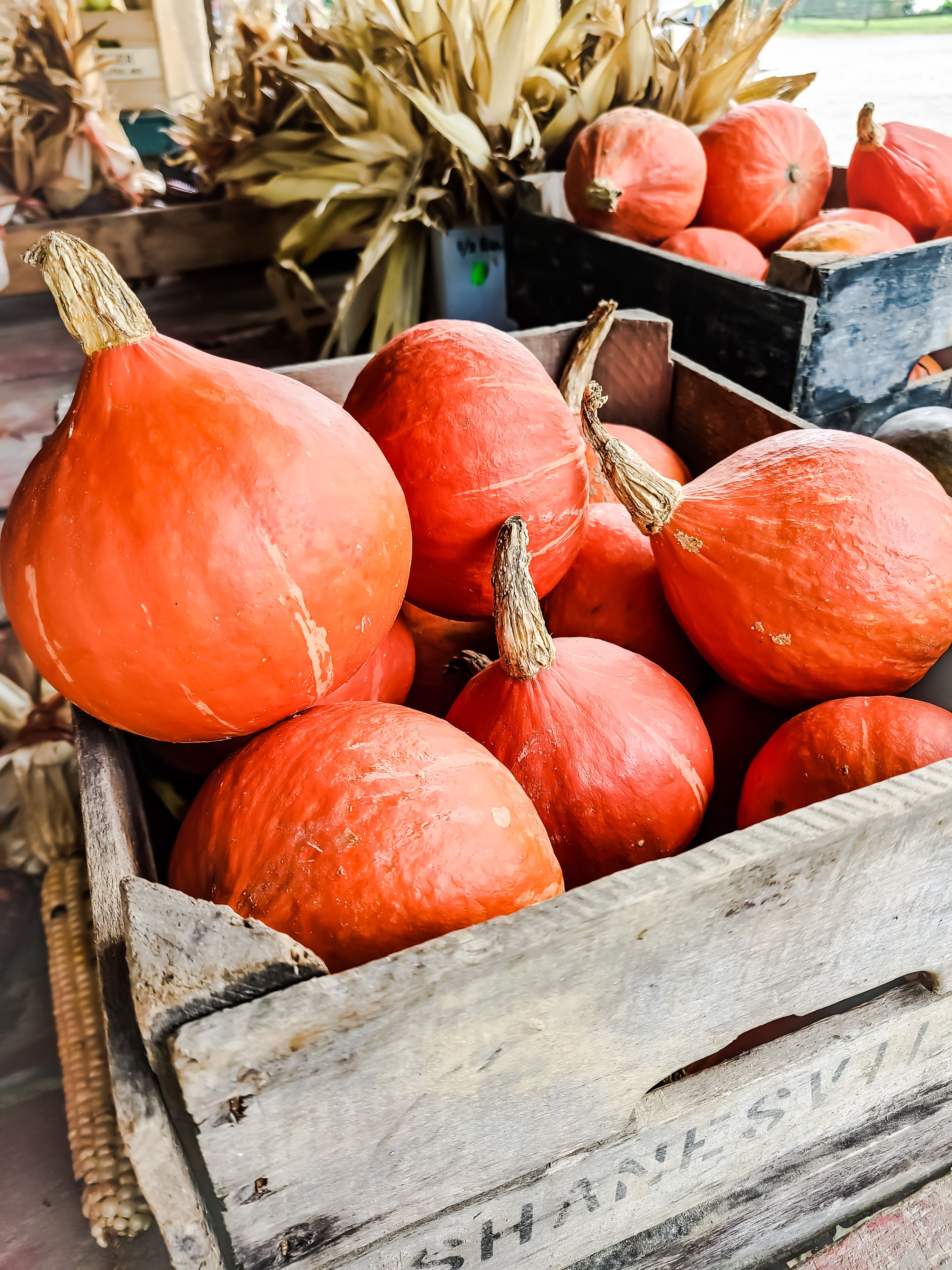 Agricultural Products Photos, Download The BEST Free Agricultural ...