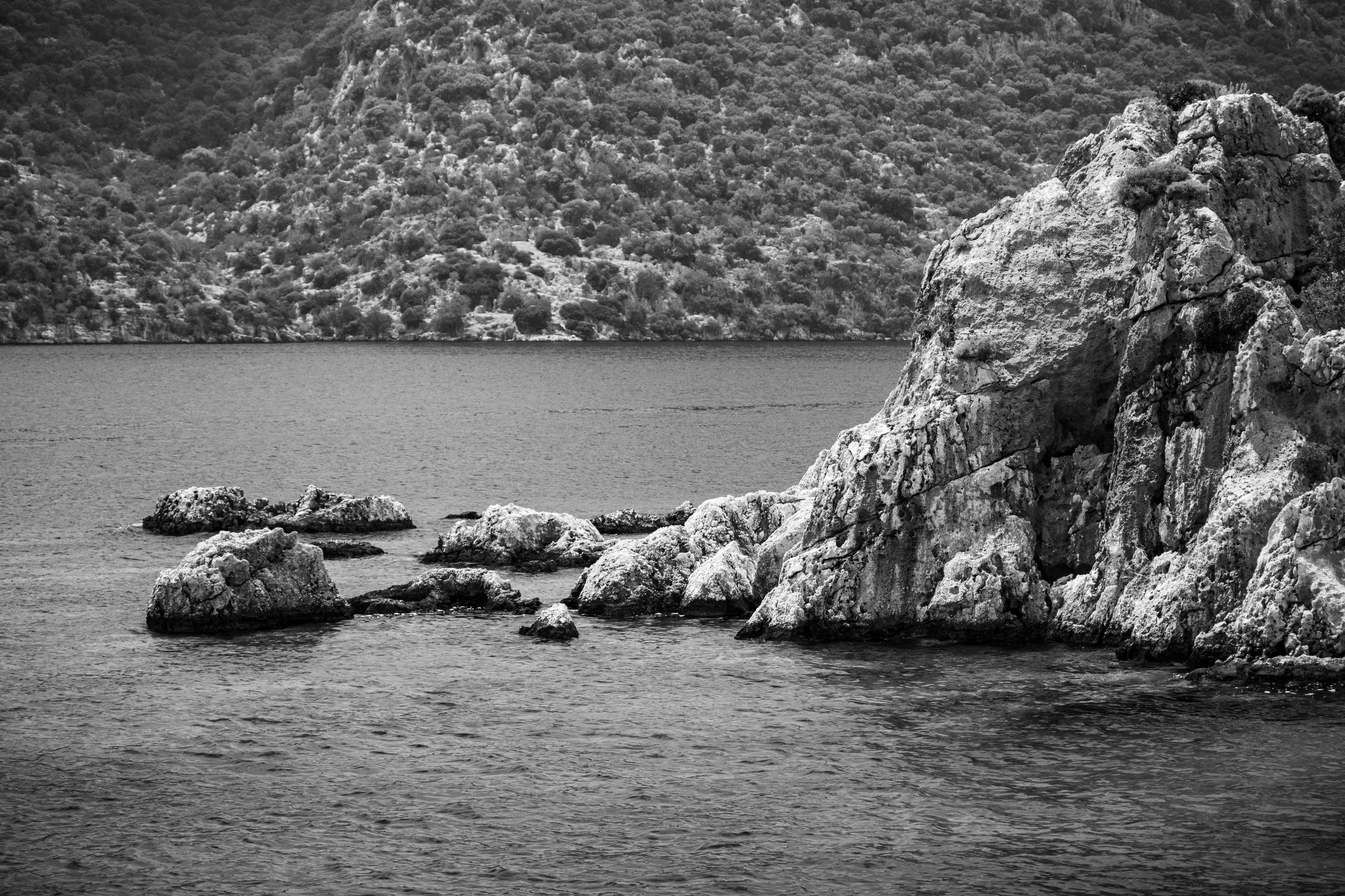 Grayscale Photo of Rocks Underwater · Free Stock Photo