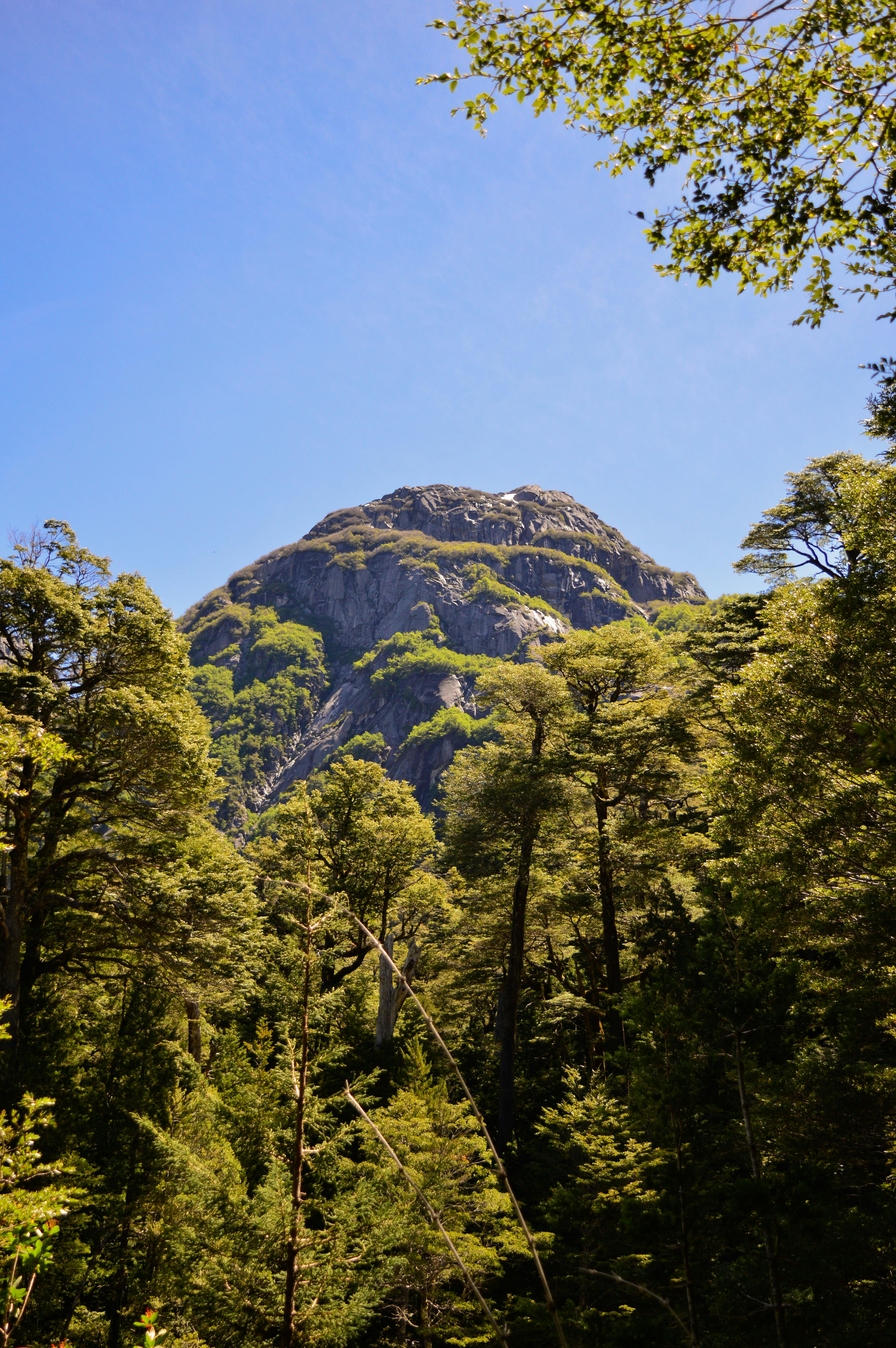 Clear Blue Sky over Trees and Mountain · Free Stock Photo