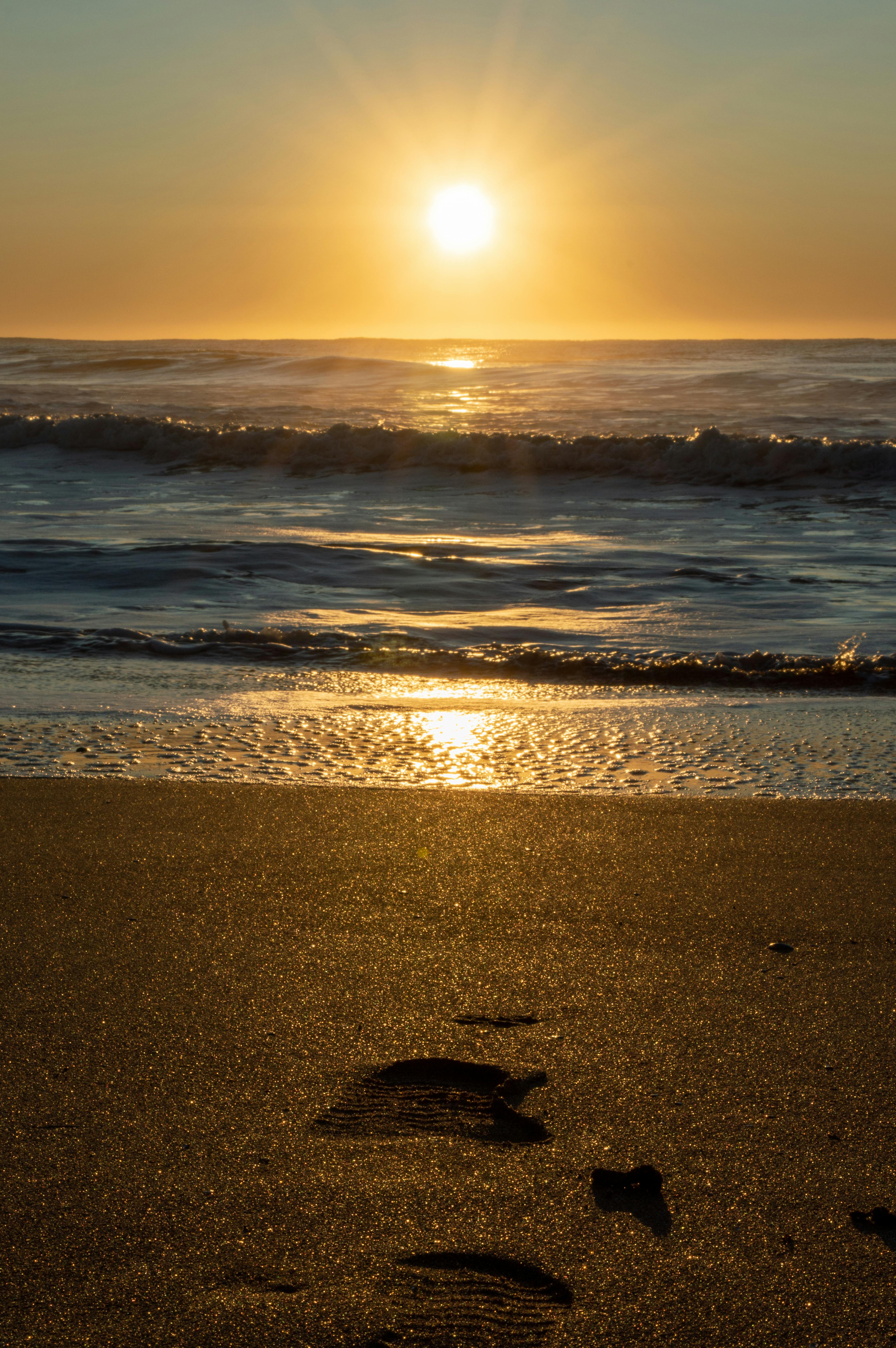 Photo of Beach During Golden Hour · Free Stock Photo