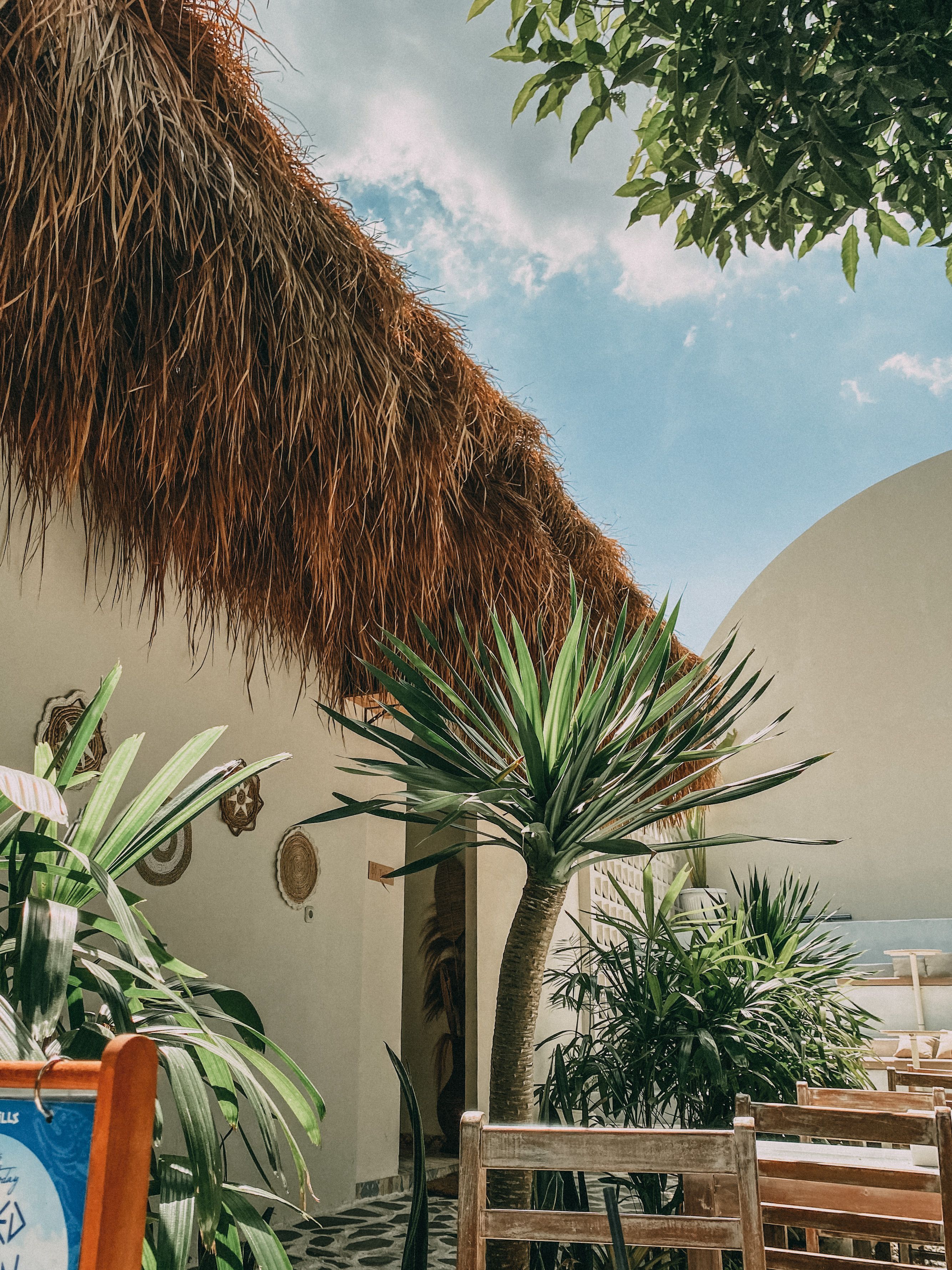 Tree by Building of Cafe in Resort · Free Stock Photo