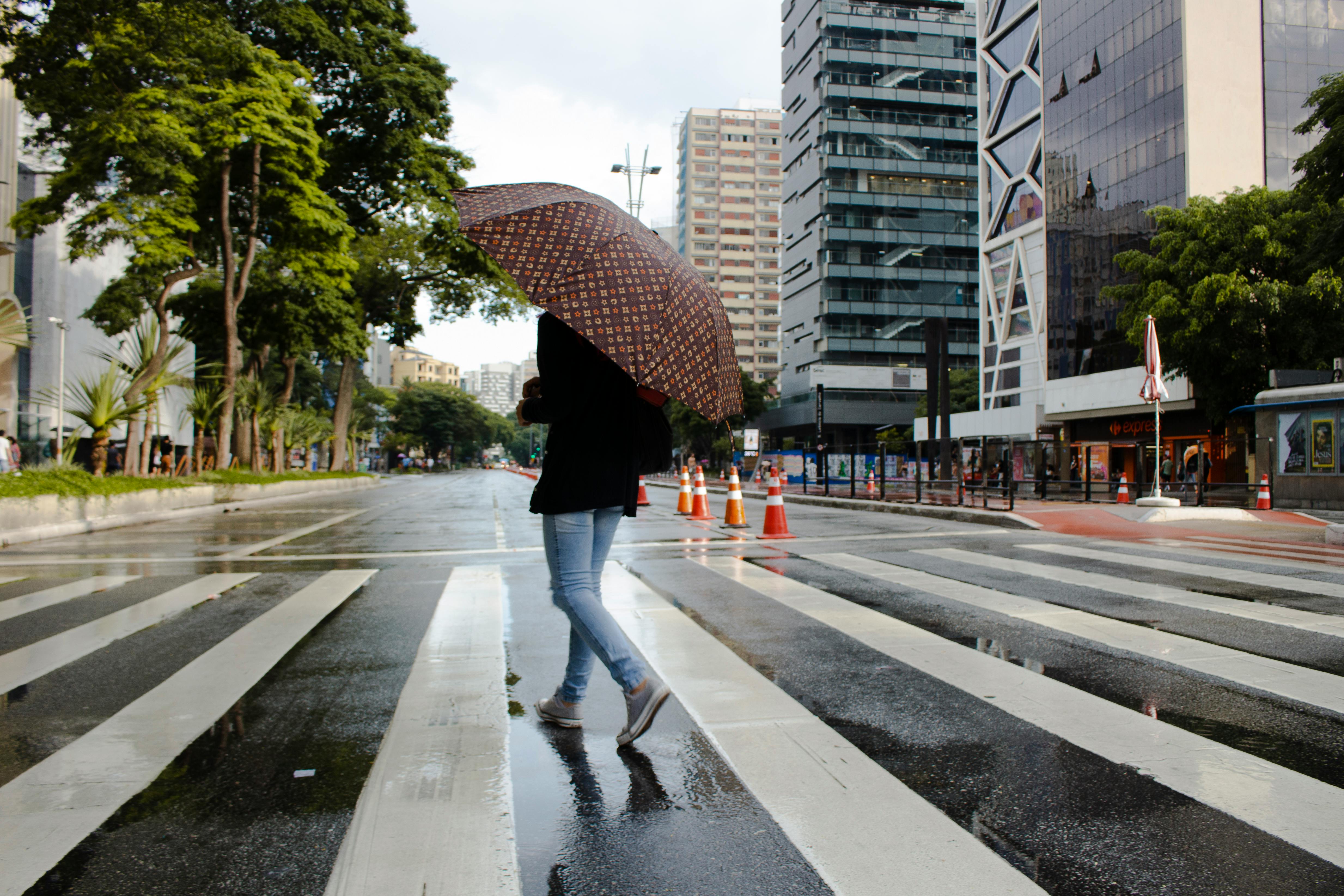 Daniel Borges - Photography