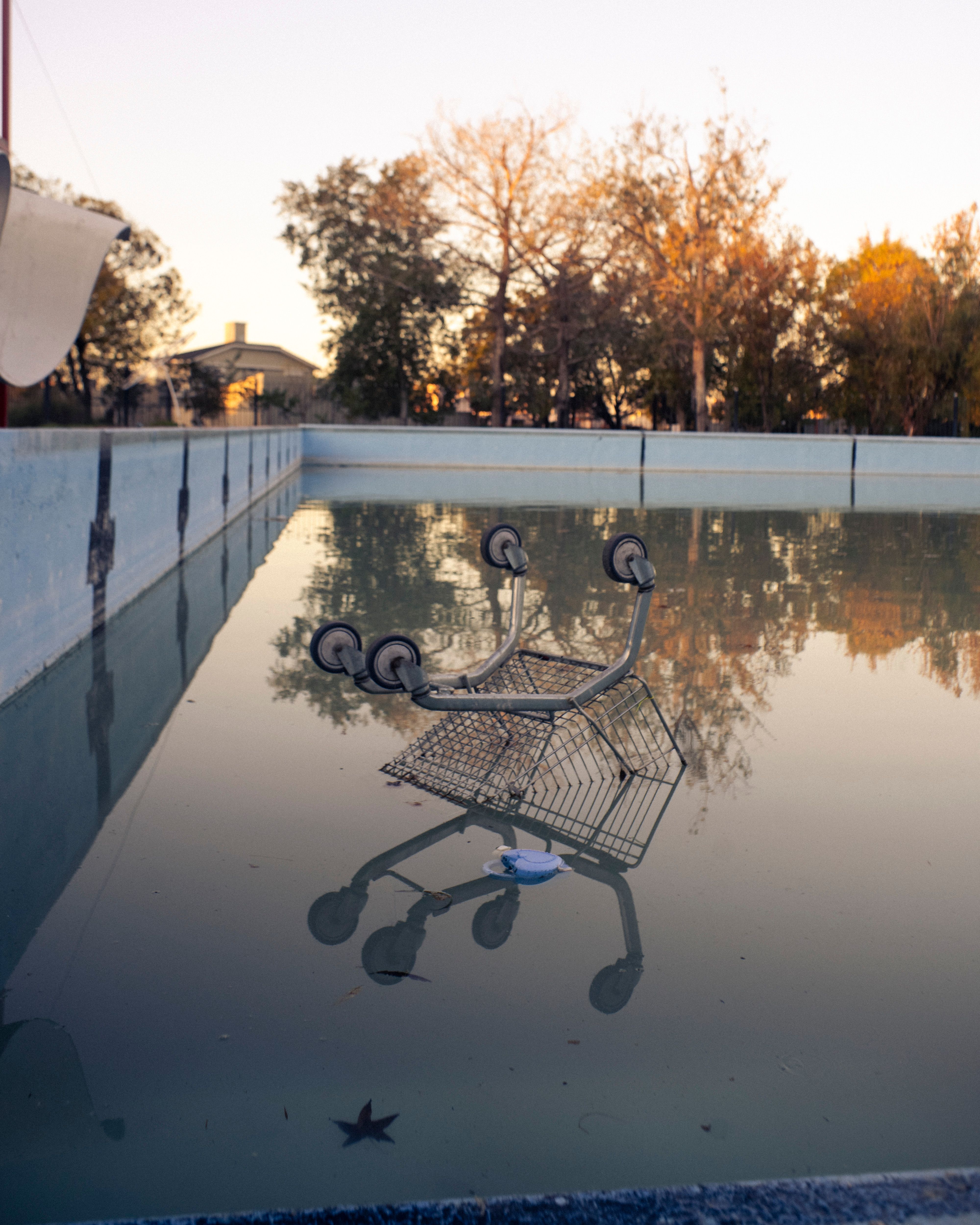 Shopping Cart in a Puddle · Free Stock Photo