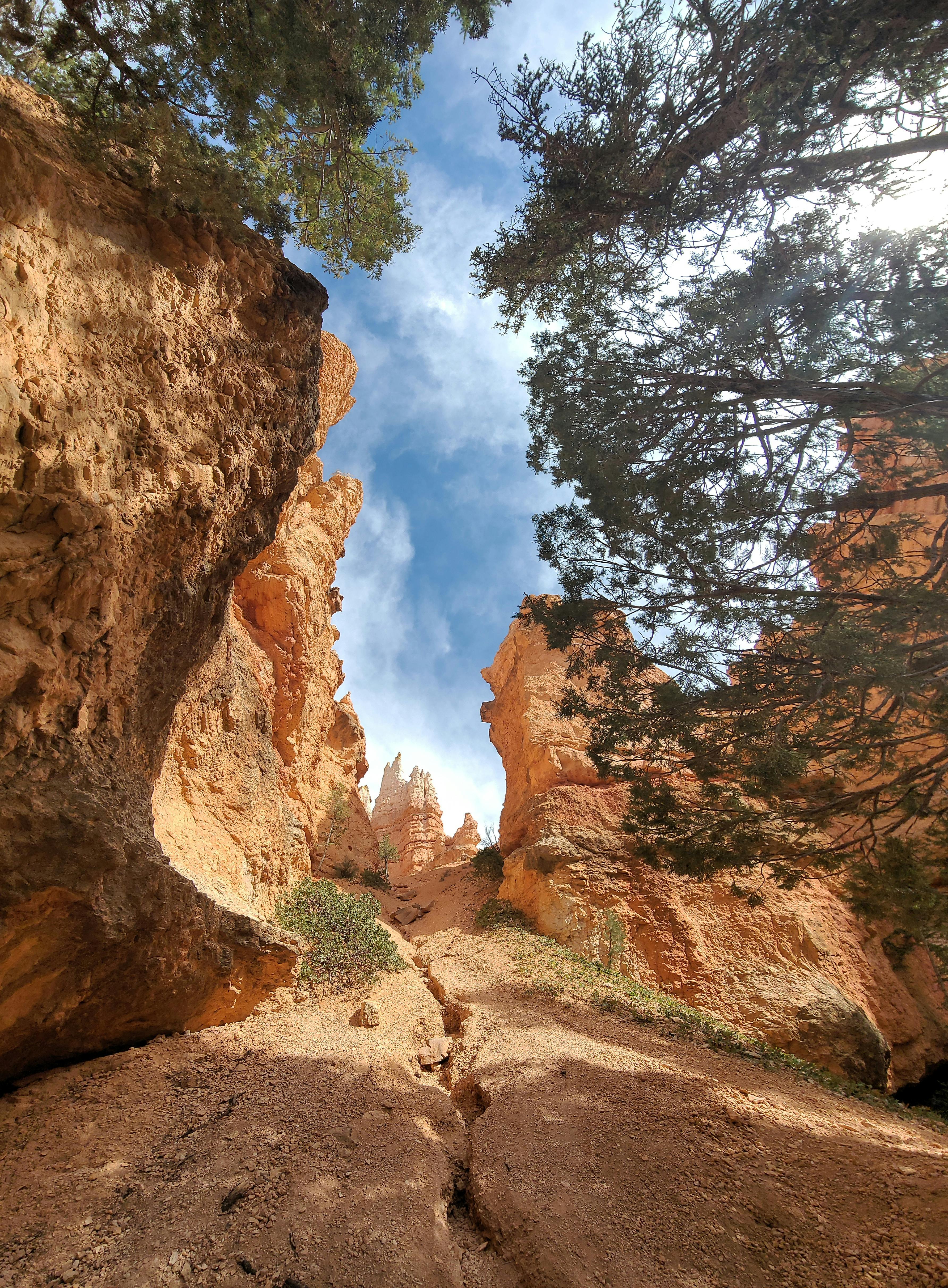 Person Standing on A Rock Formation · Free Stock Photo