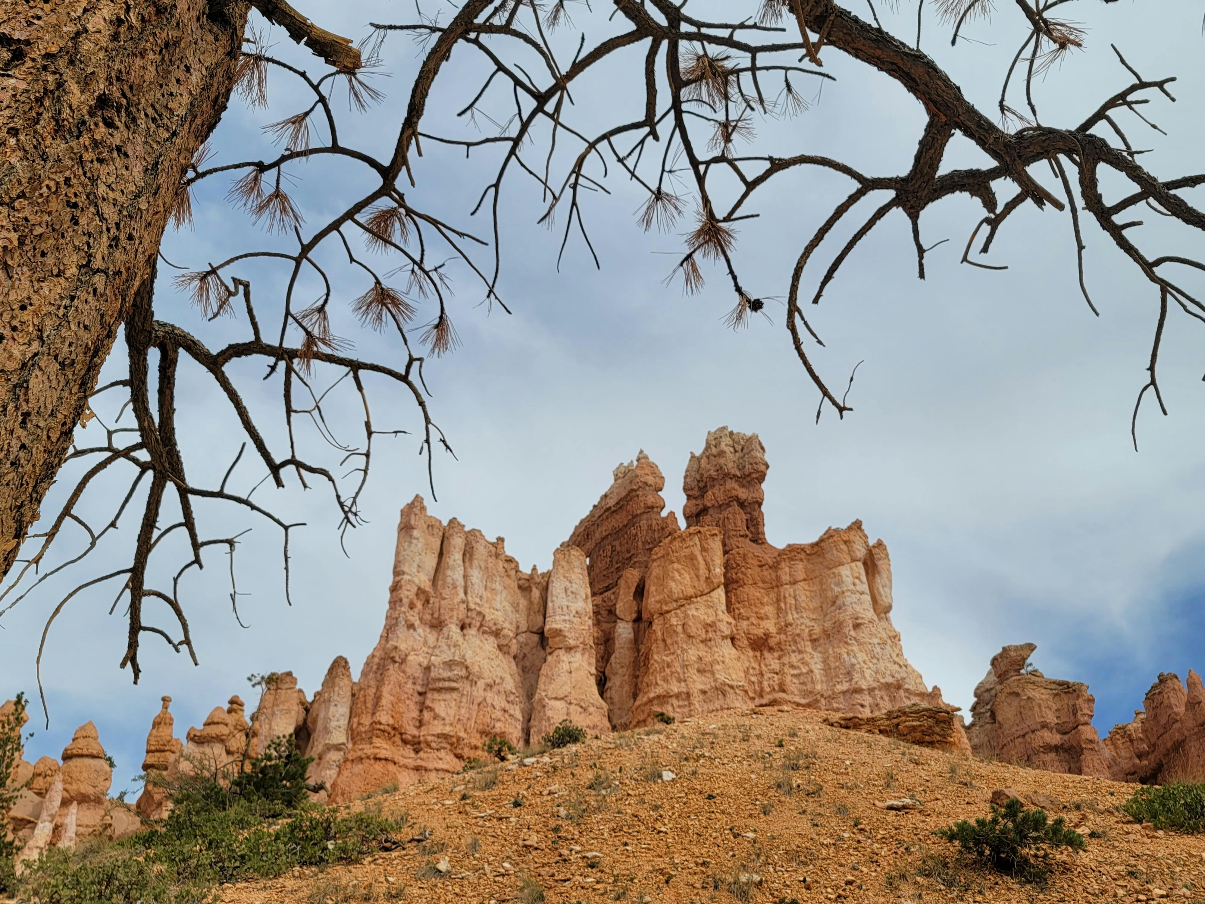 Geological Formations at Bryce Canyon National Park · Free Stock Photo